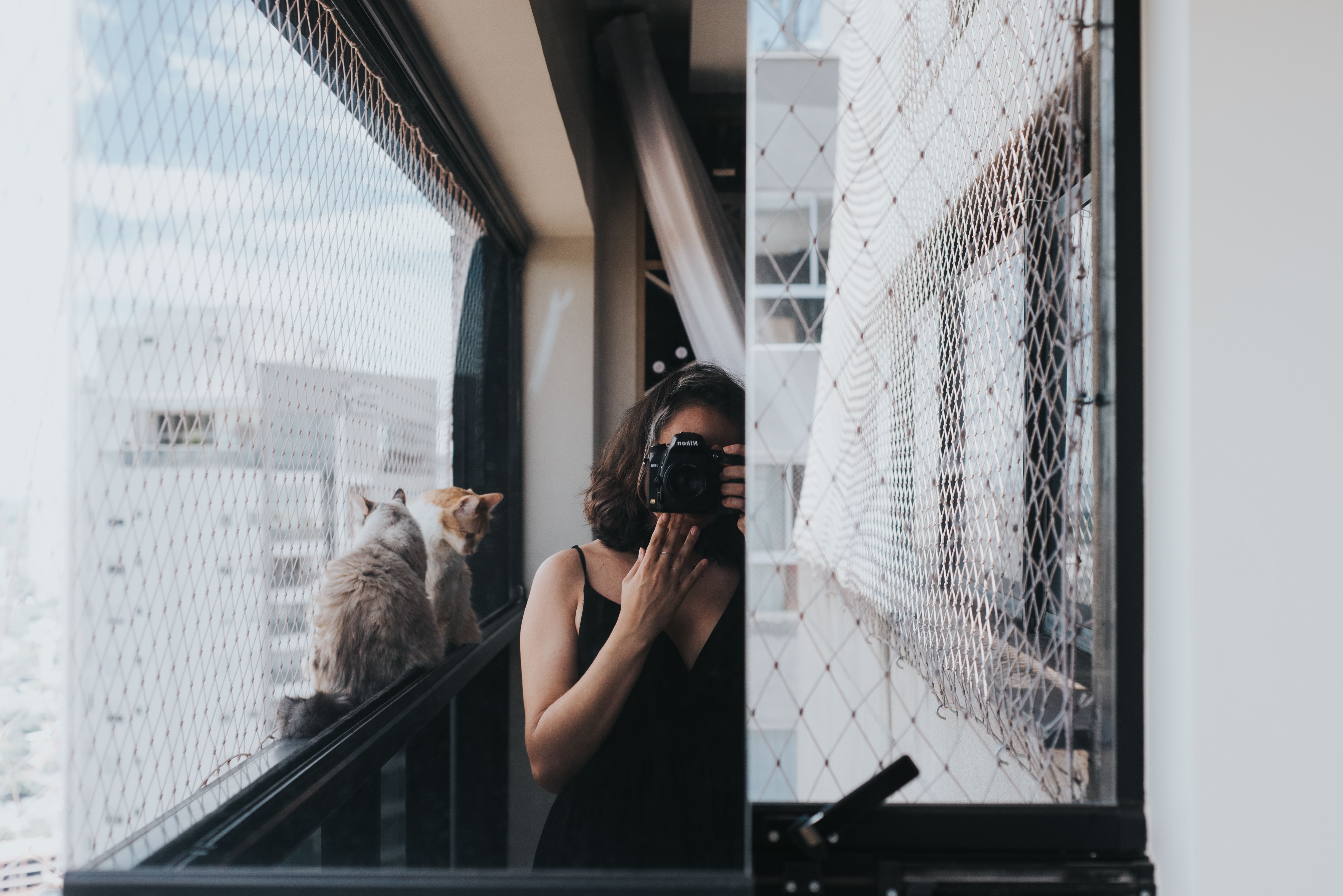 Woman Taking Picture with Camera on Balcony with Cats near · Free Stock ...