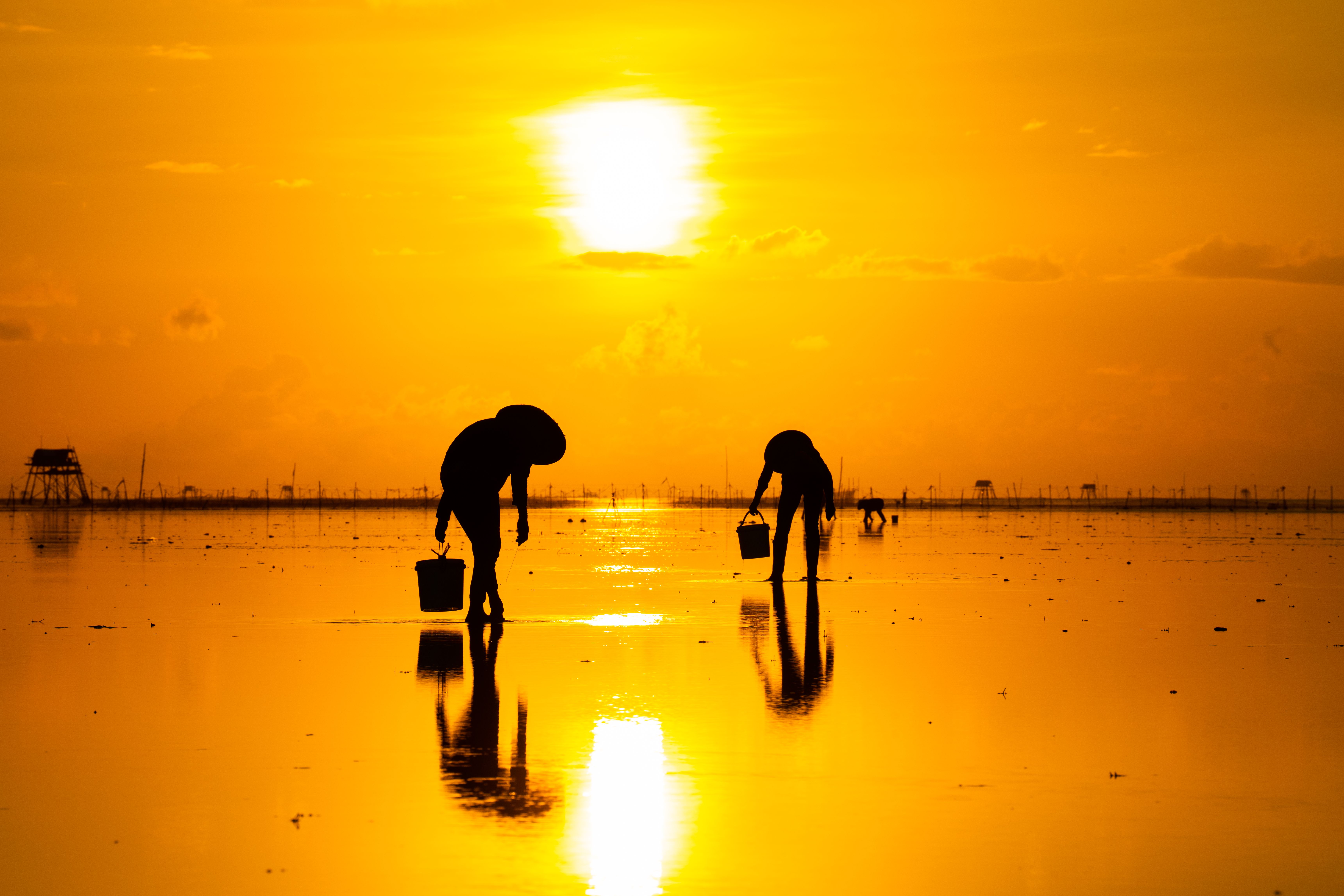 Beach Working Photos, Download The BEST Free Beach Working Stock Photos ...