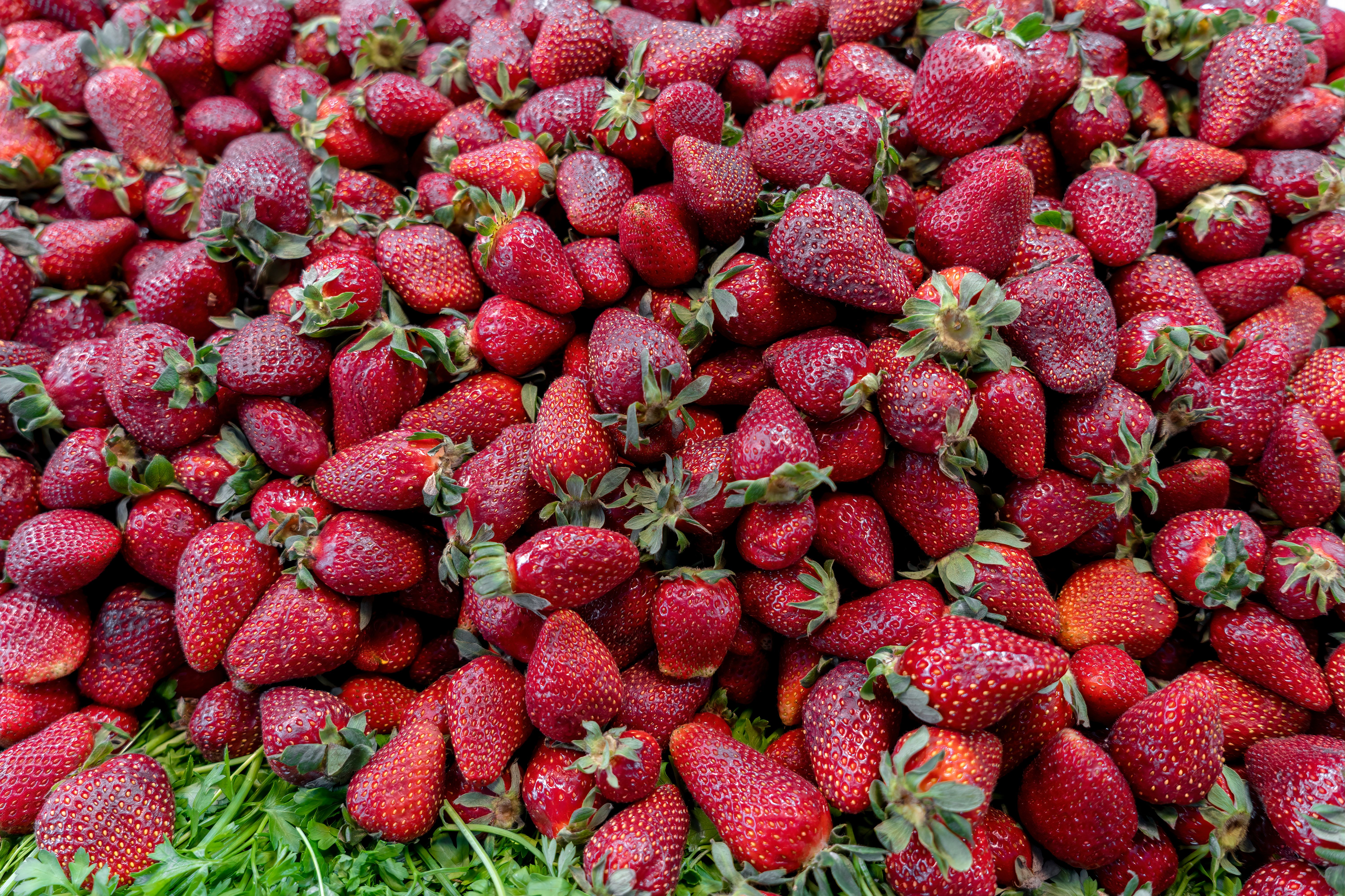 Strawberry · Free Stock Photo