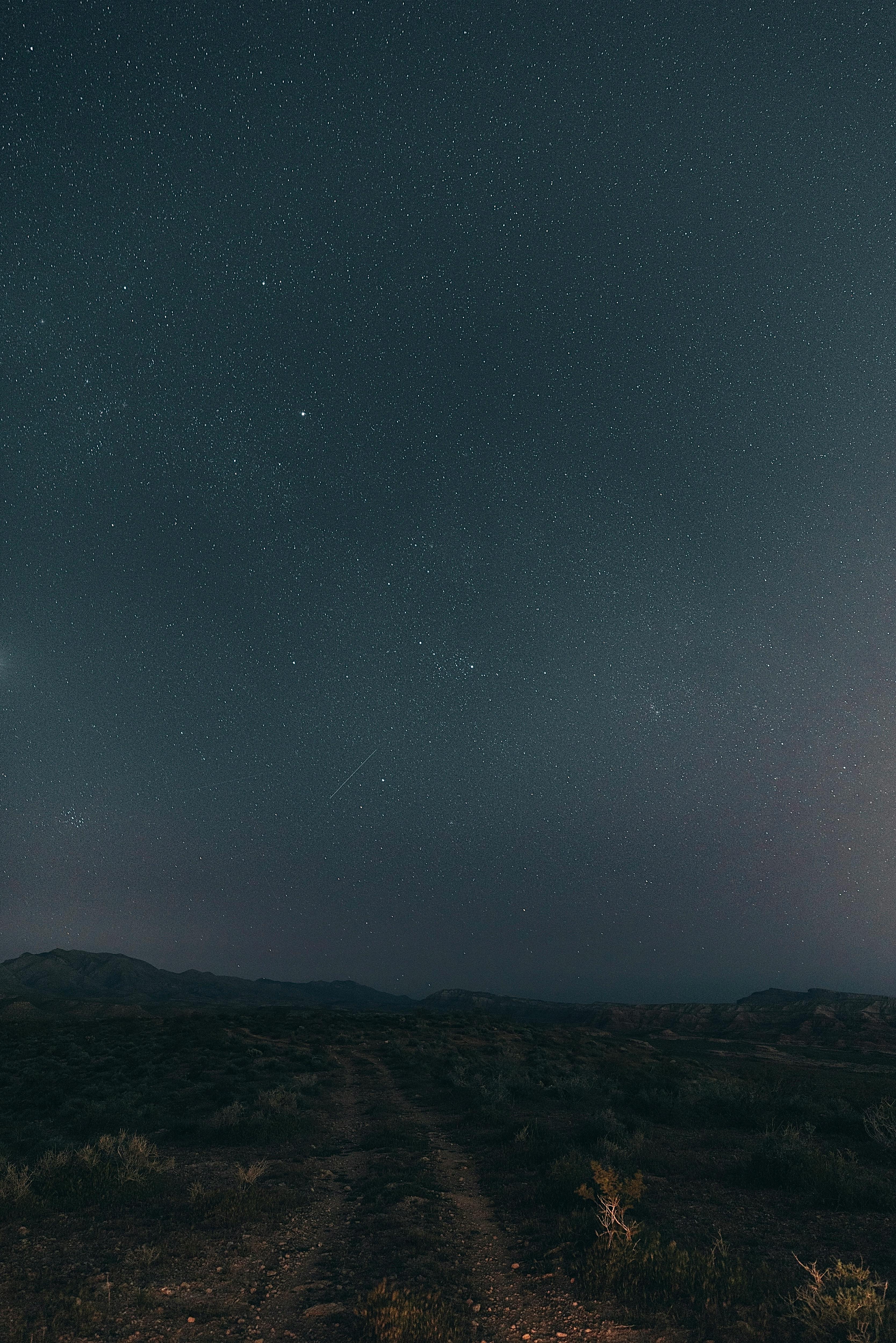 Star Field in Night Sky · Free Stock Photo