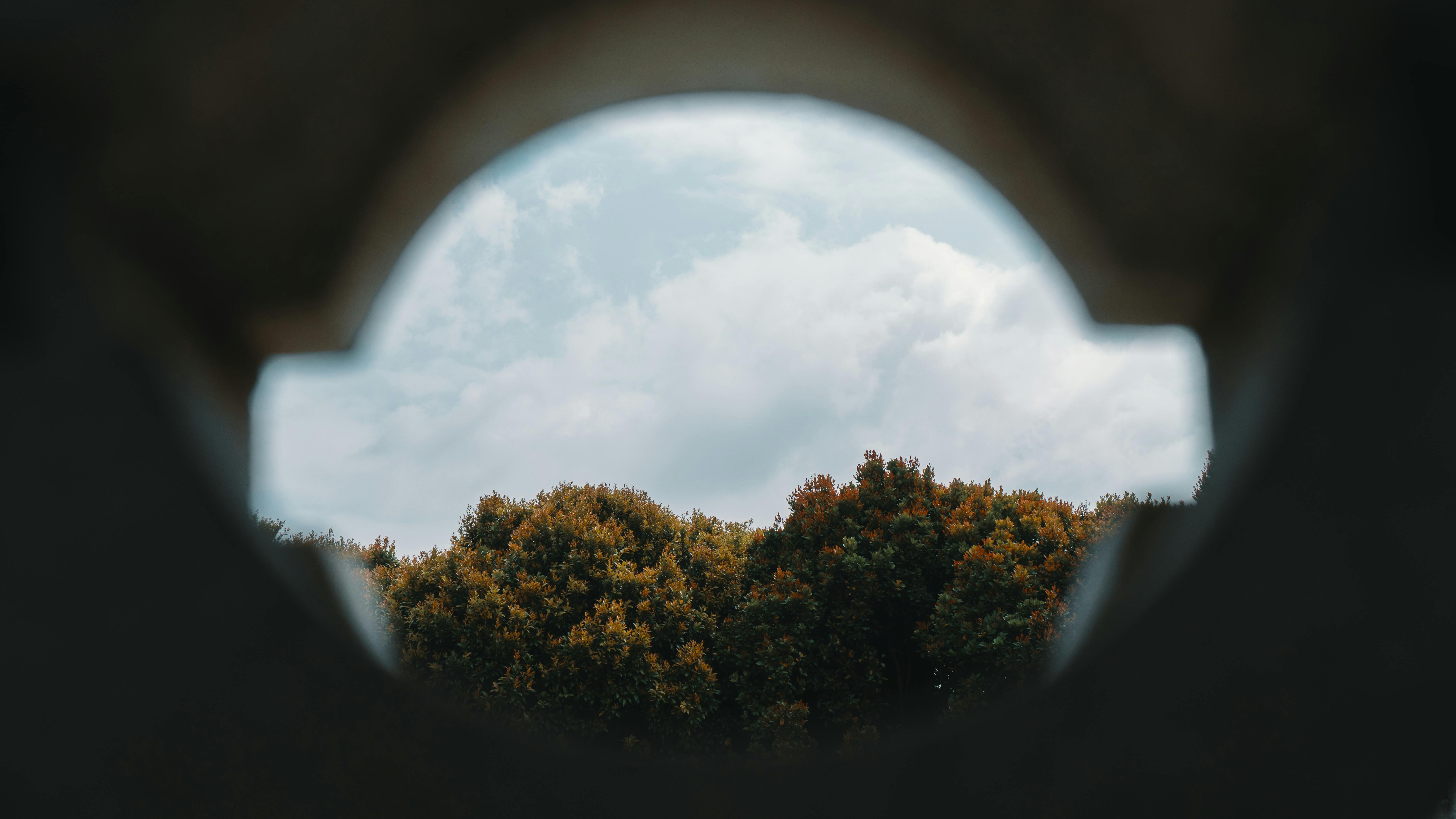 Bush Frame Photos, Download The BEST Free Bush Frame Stock Photos & HD ...