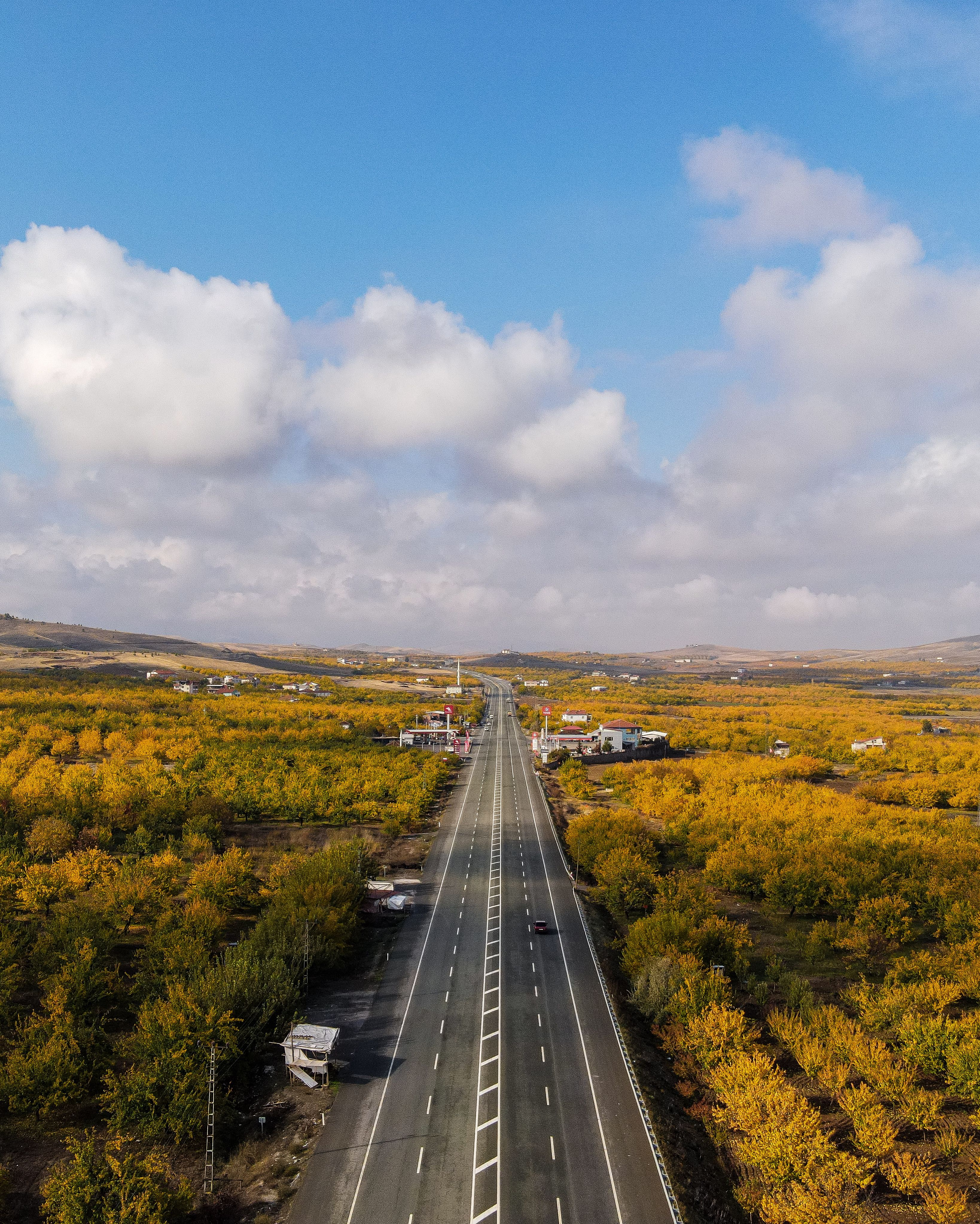 Aerial View of a Straight Road and Forest on Both Sides · Free Stock Photo