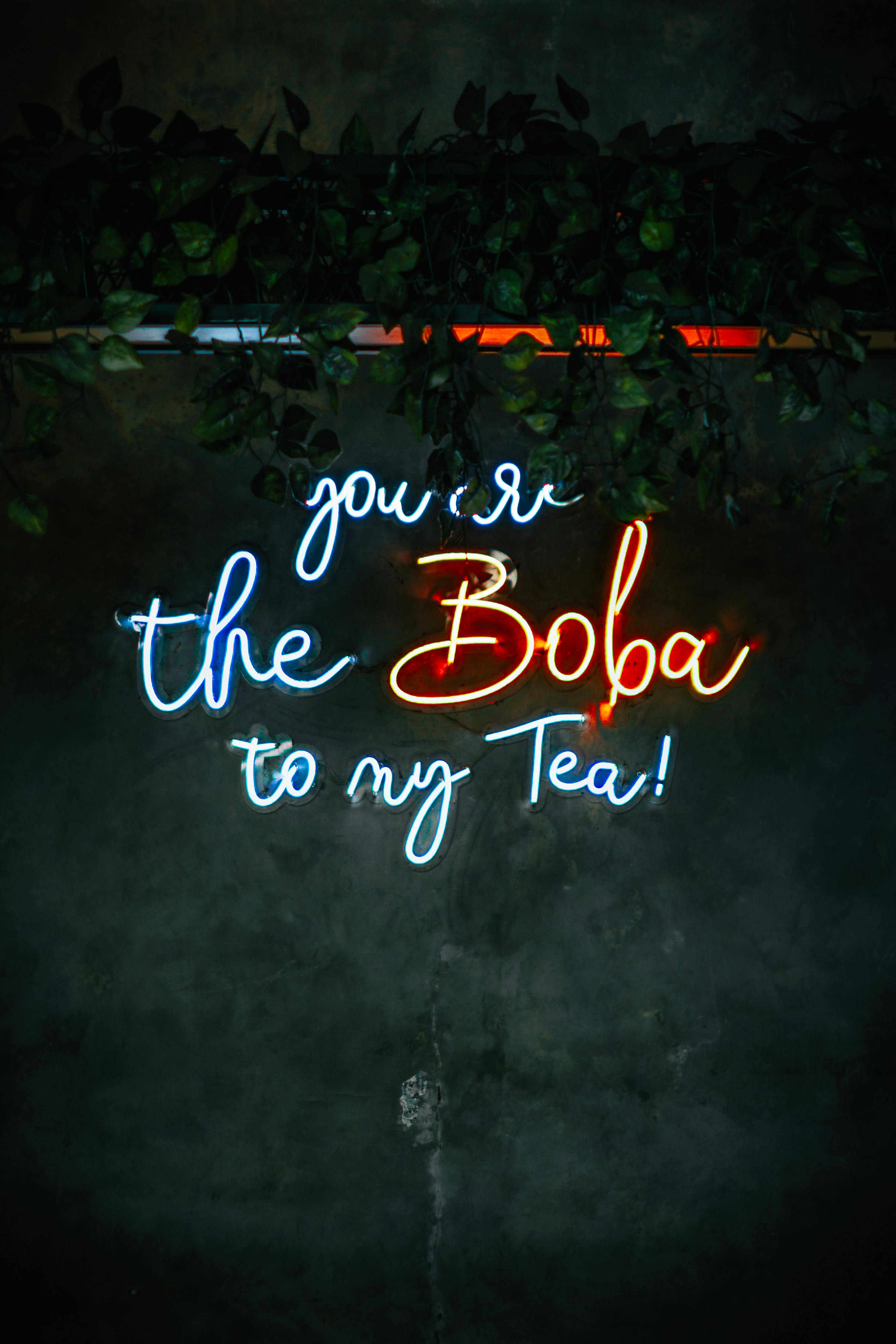 Portfolio Text Photos, Download The BEST Free Portfolio Text Stock ...