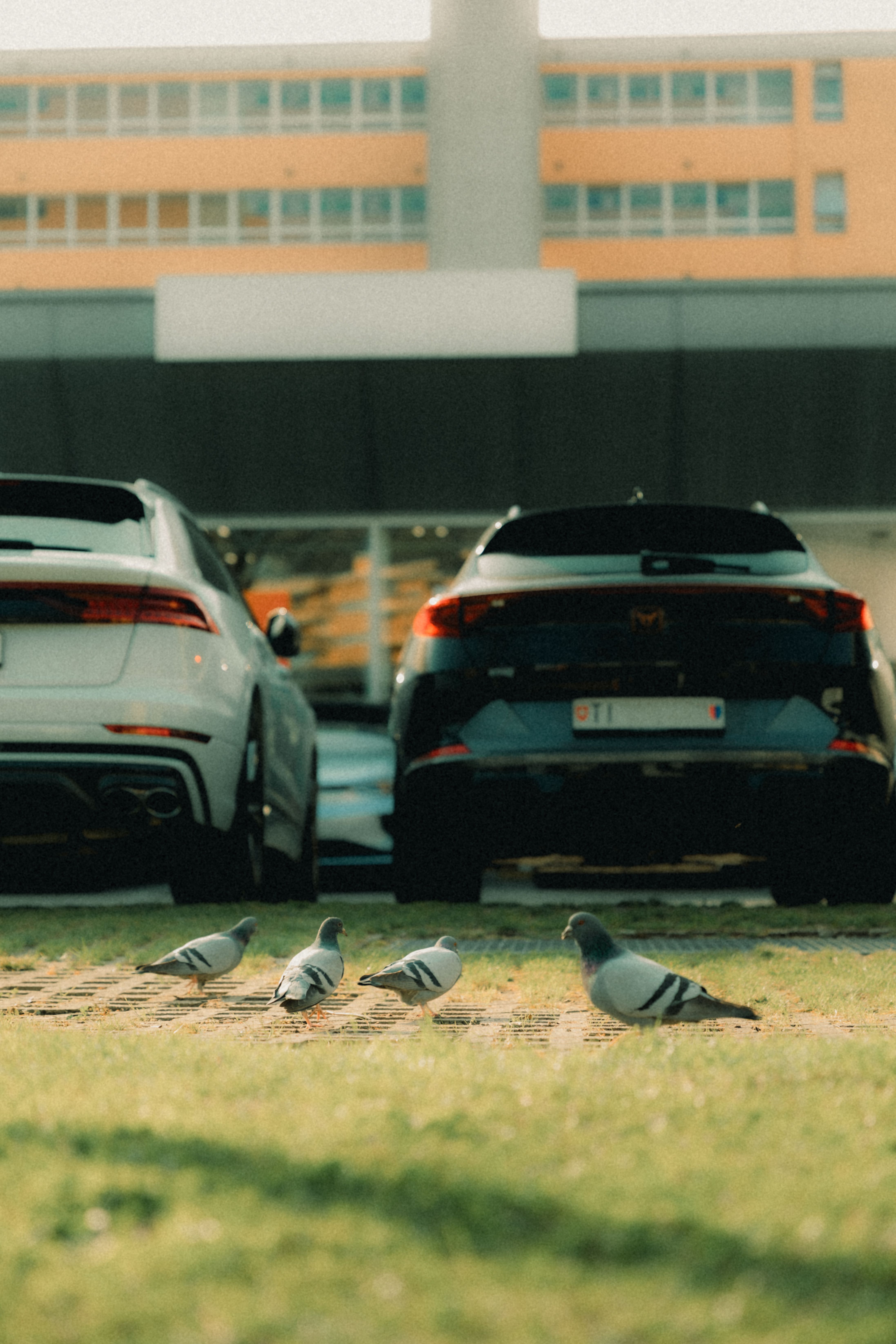 Animated Cars Photos, Download The BEST Free Animated Cars Stock Photos ...