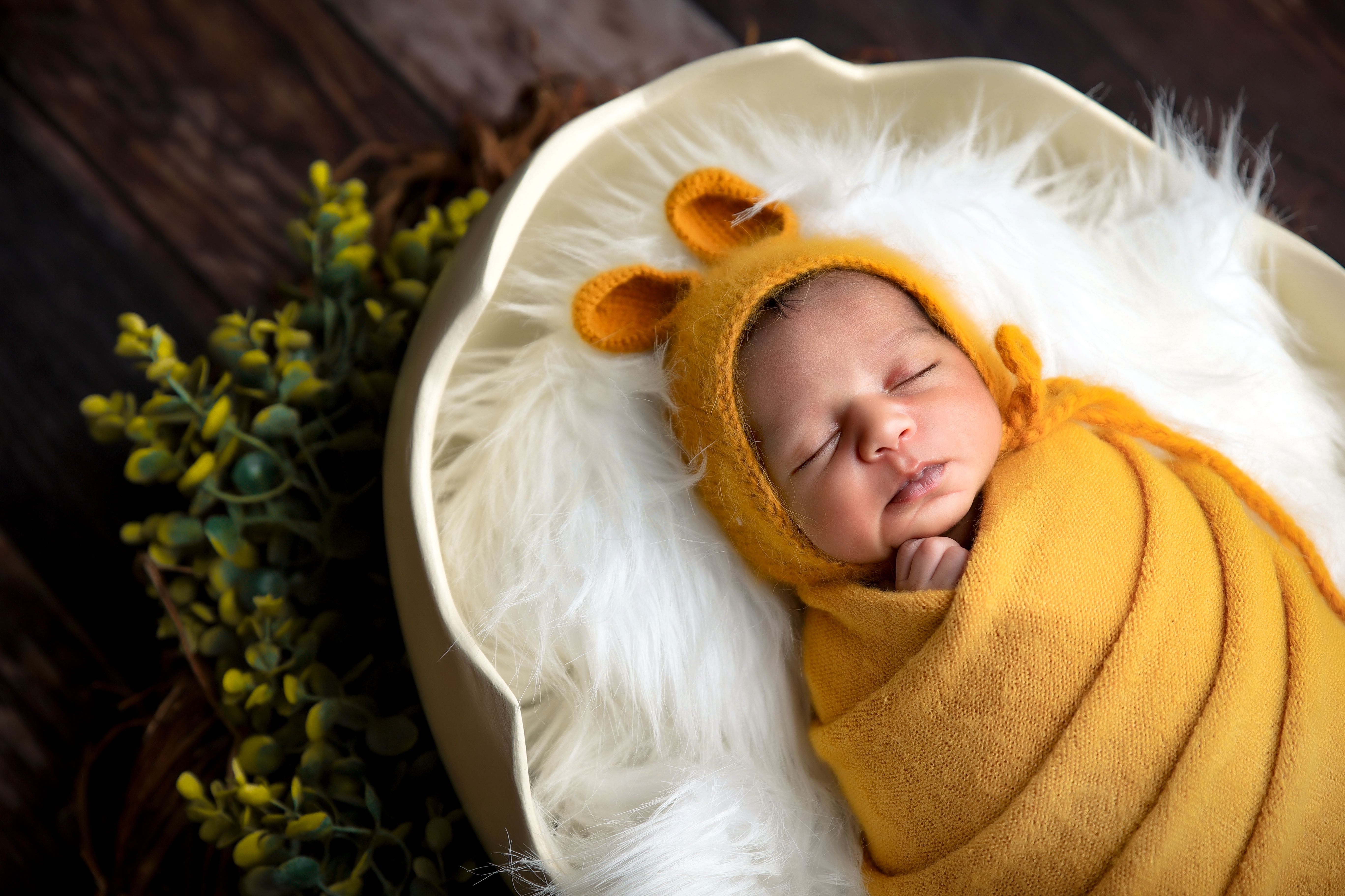 Newborn Baby Wrapped In Blanket