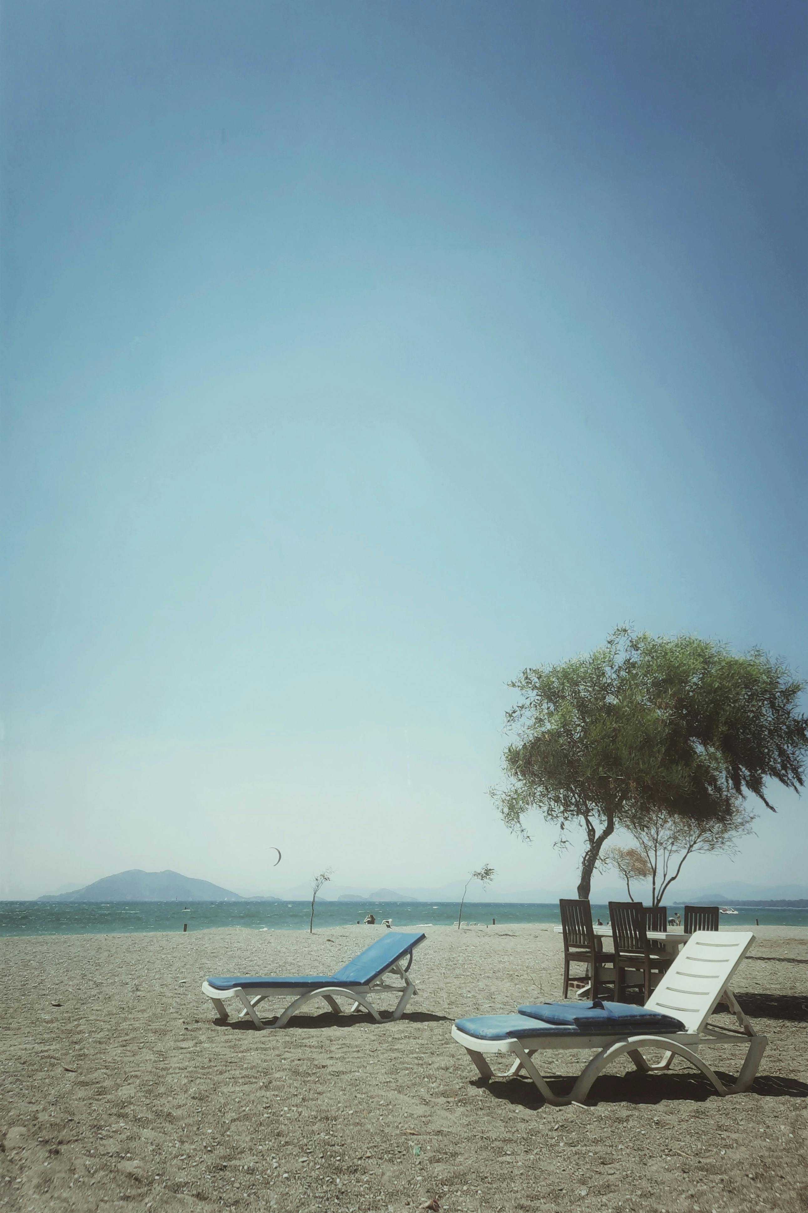 People Reclining on Sunbeds on Beach · Free Stock Photo