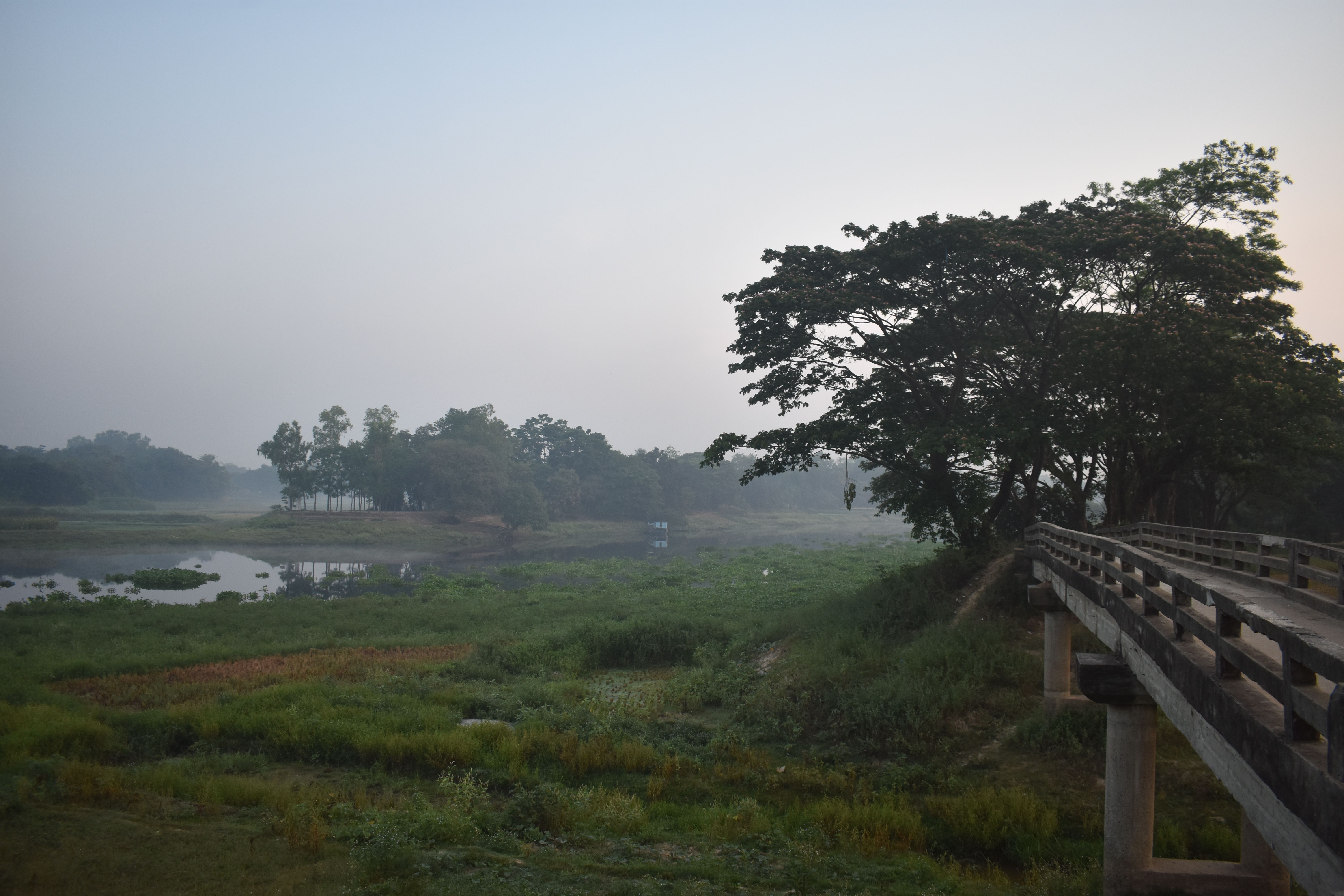 A Bridge and a Landscape of a Marsh · Free Stock Photo