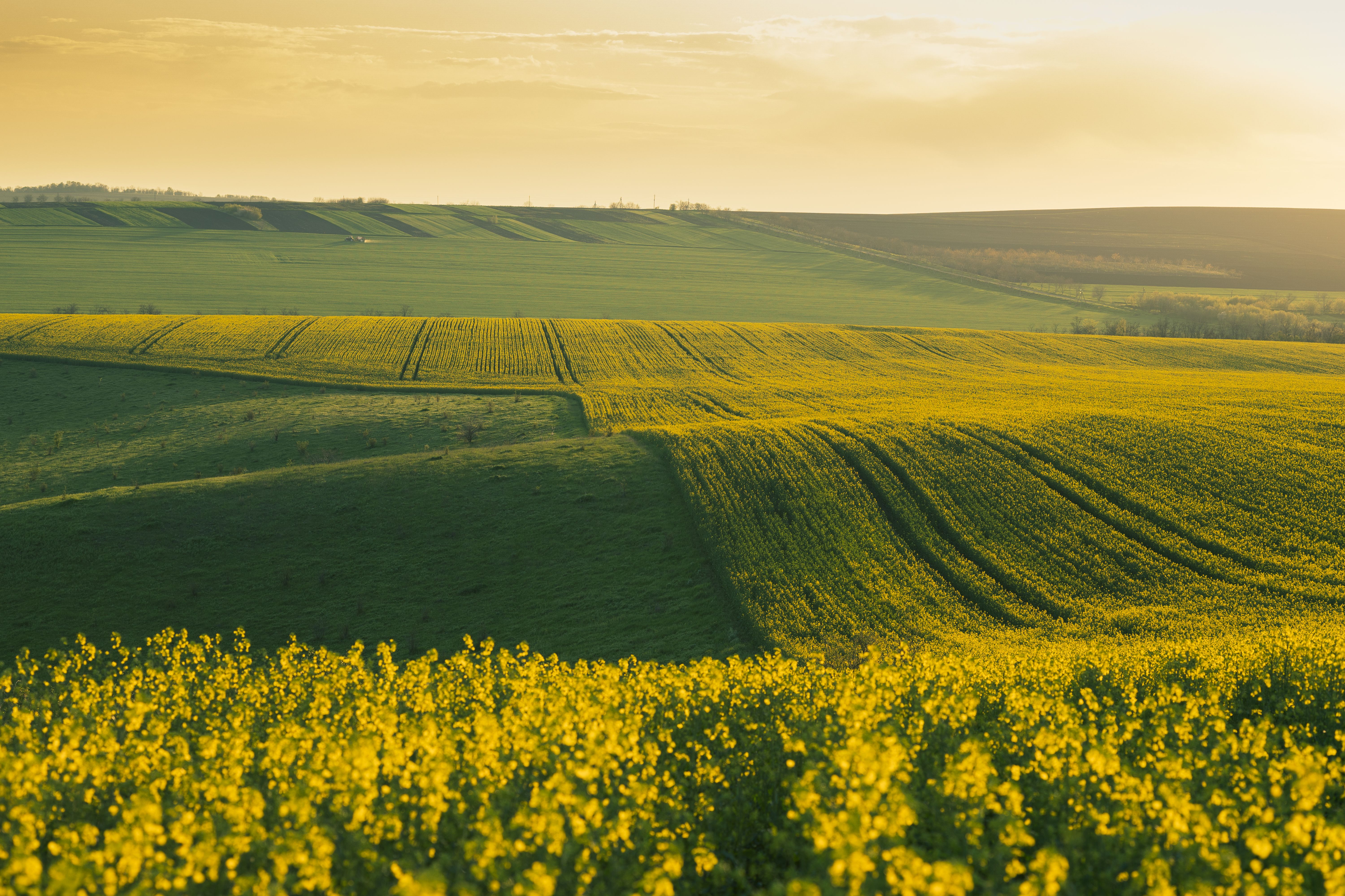 Imagine de stoc gratuită cu activități agricole, agricultură, alpine ...