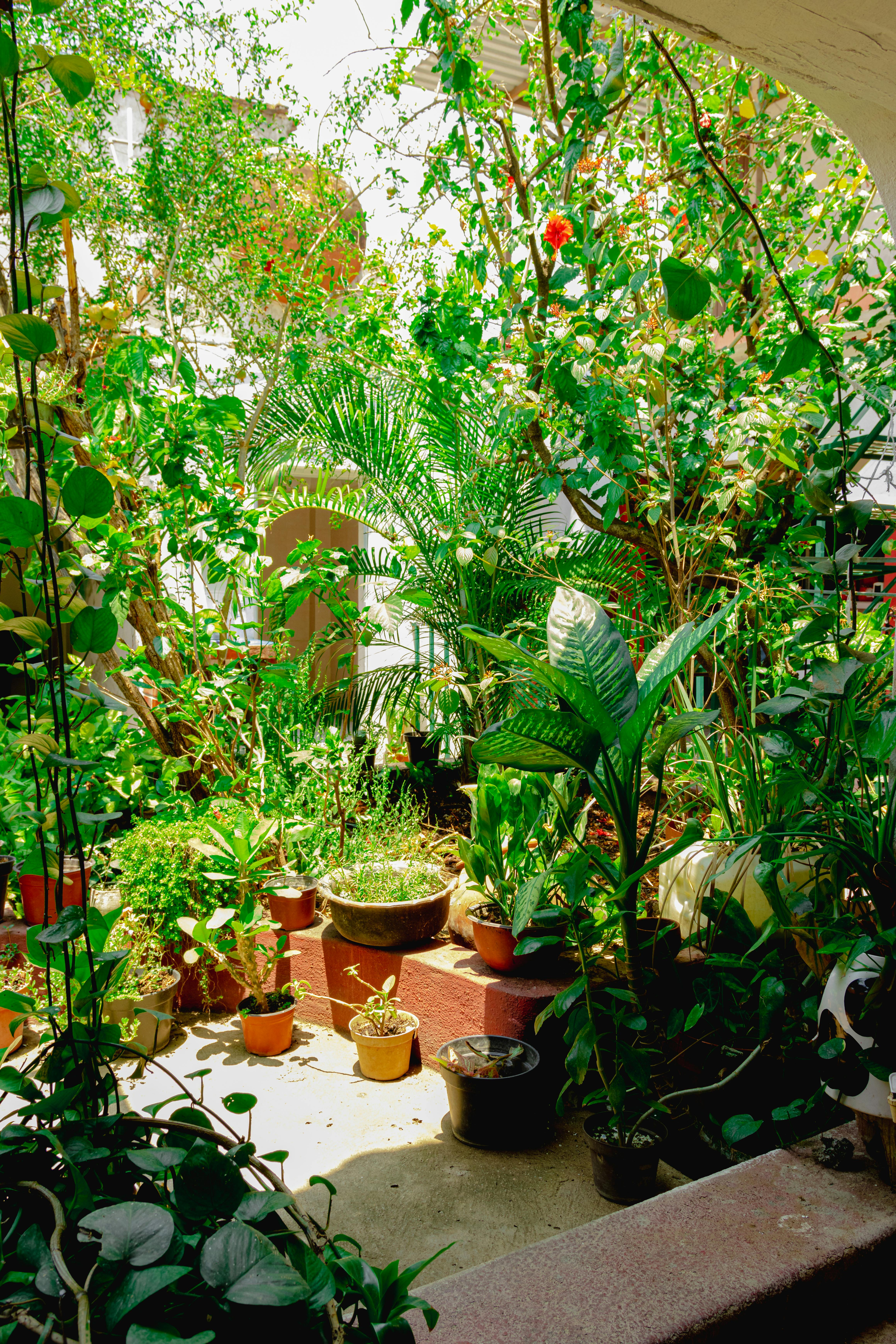 A garden with lots of plants and pots · Free Stock Photo