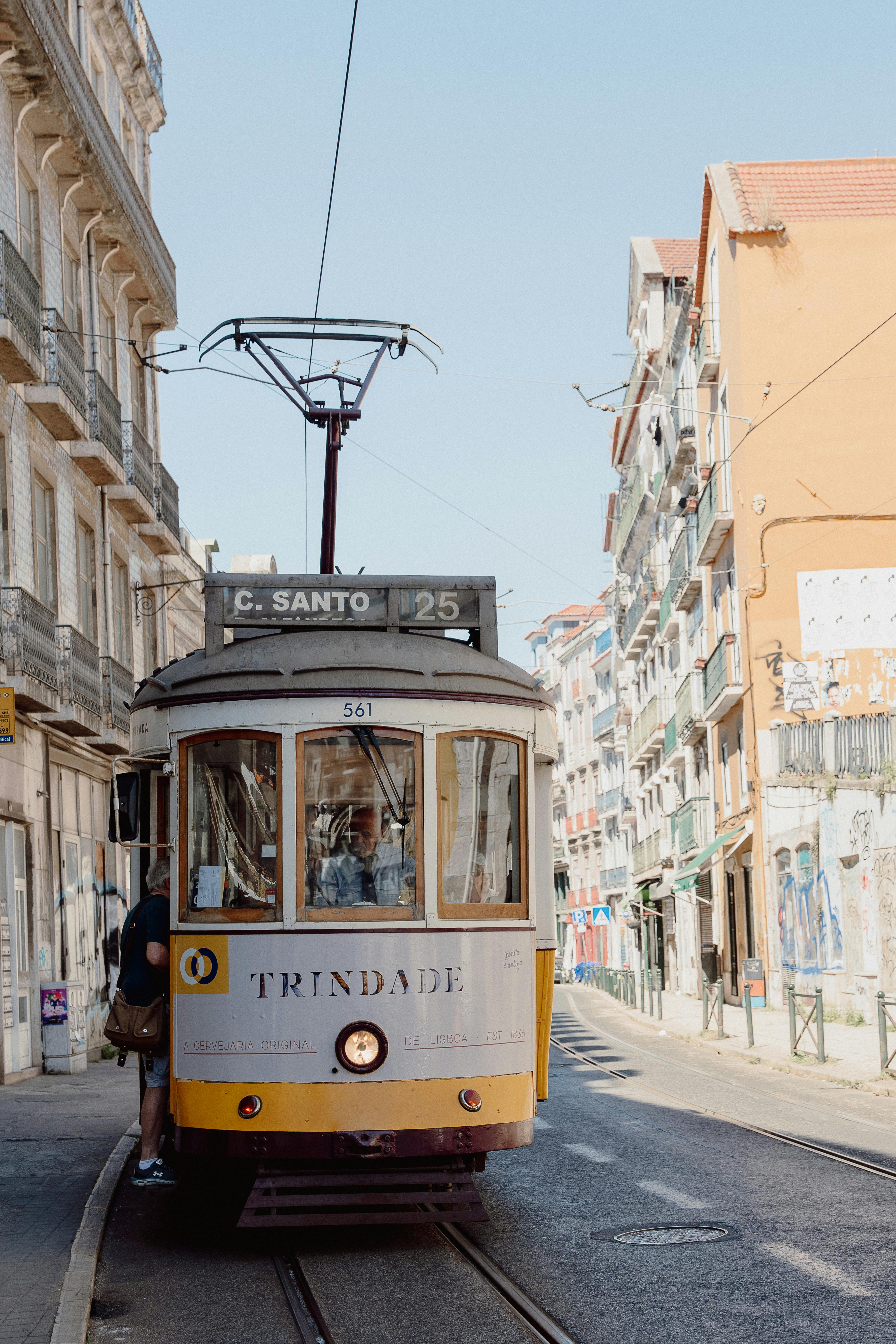 Trindade Photos, Download The BEST Free Trindade Stock Photos & HD Images