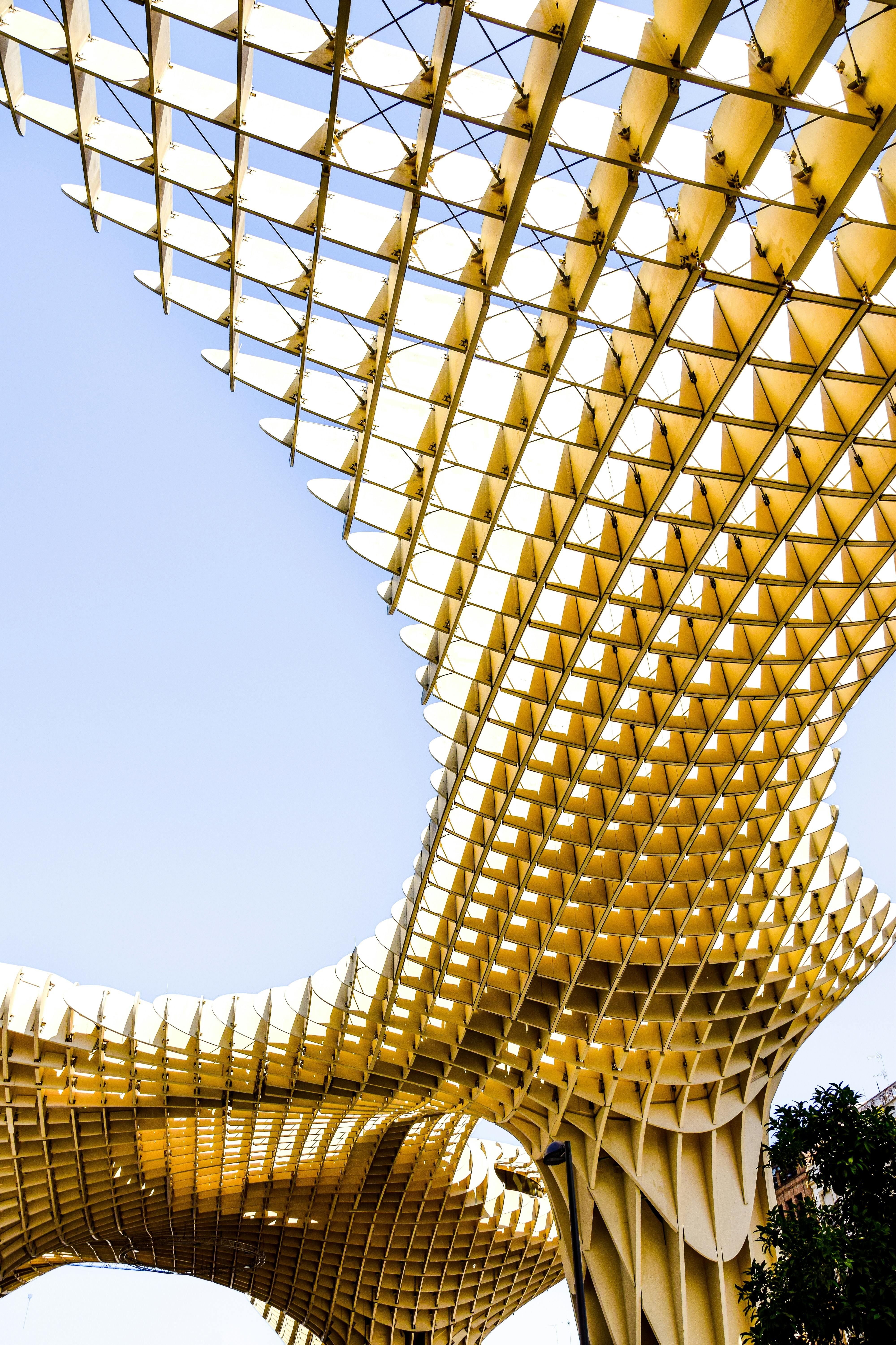 Setas de Seville · Free Stock Photo