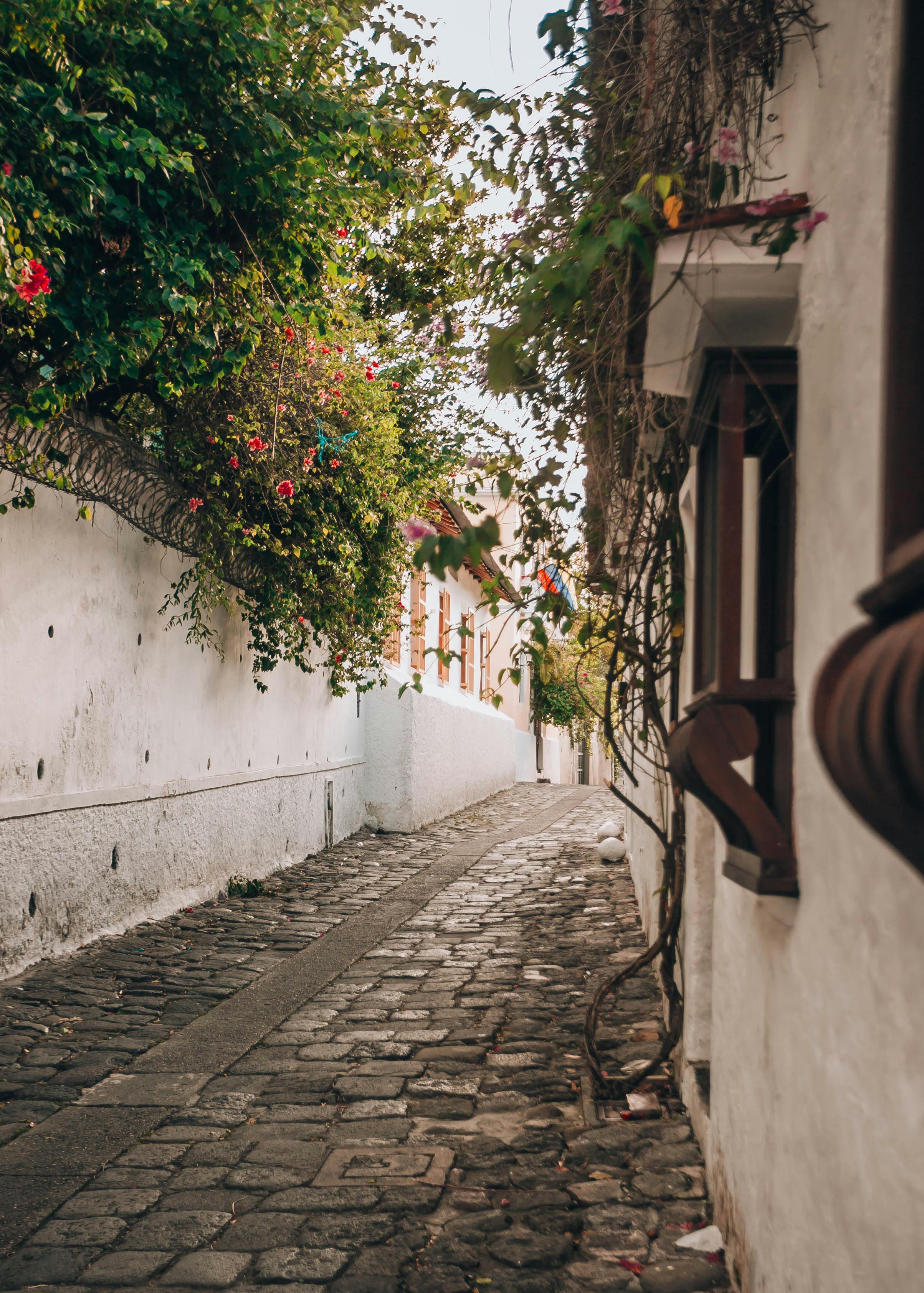 Concrete Road Between Wall And Houses · Free Stock Photo