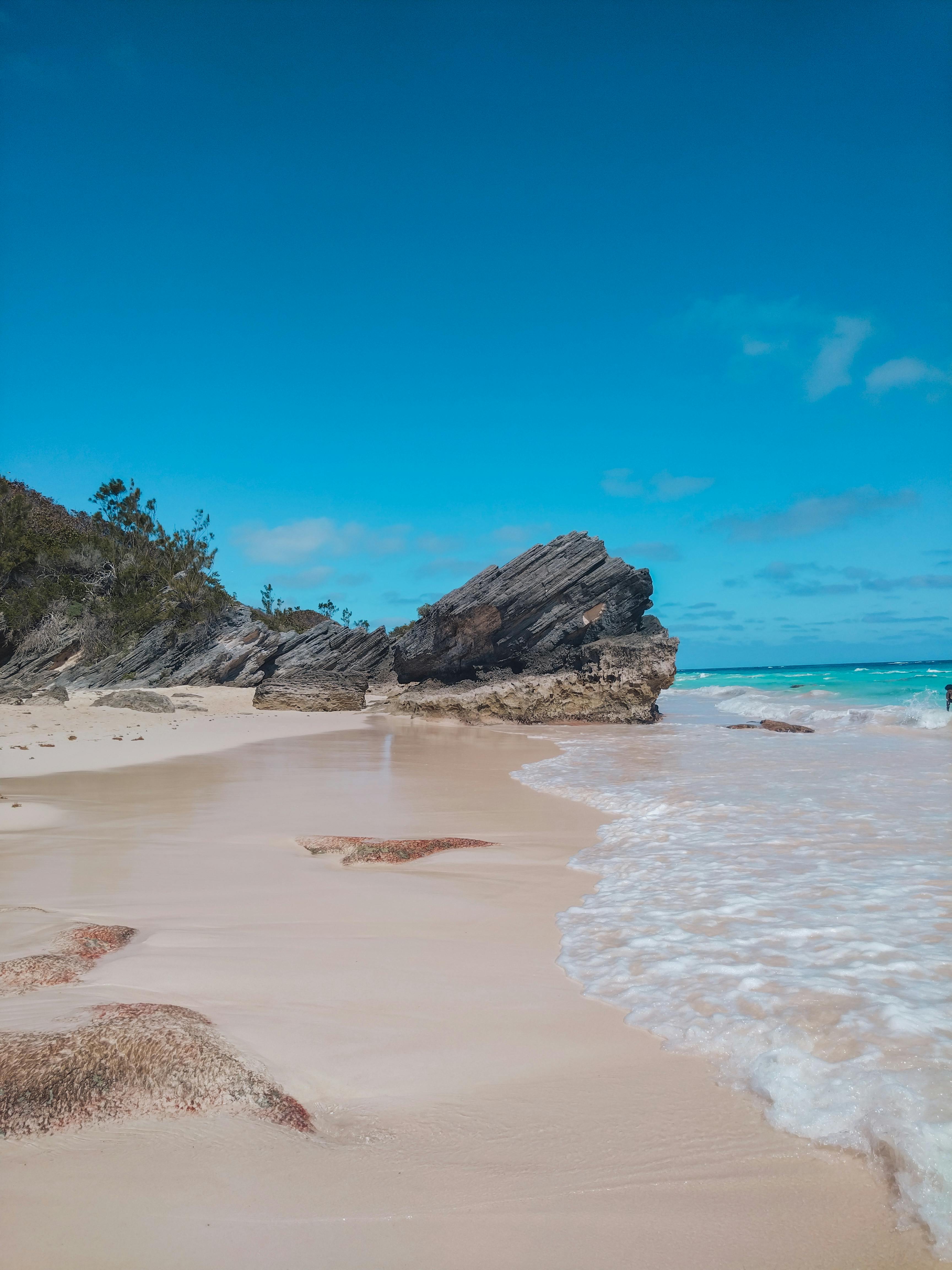 Nature Beach Photos, Download The BEST Free Nature Beach Stock Photos ...