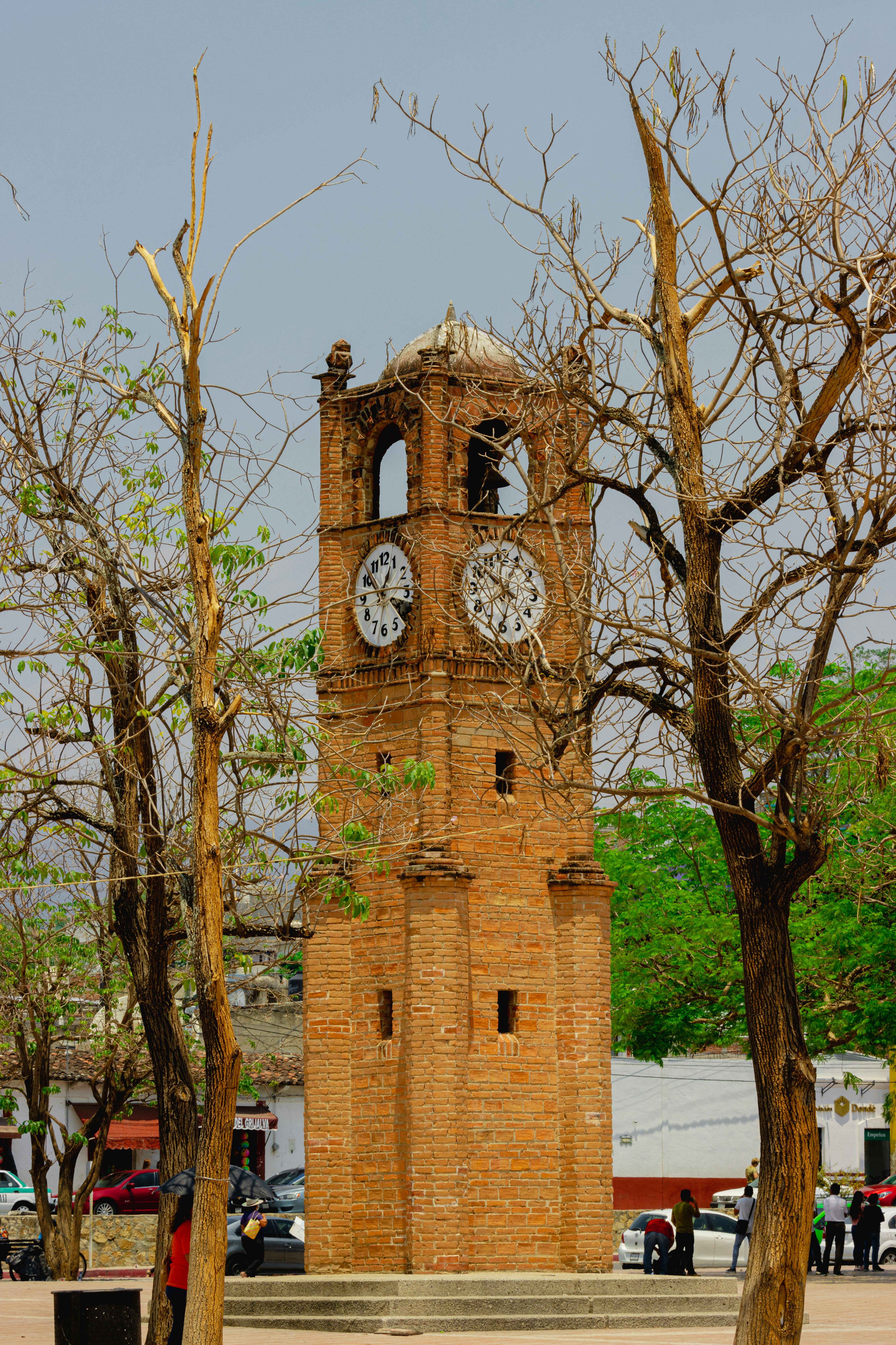 A tall clock tower in a park with trees · Free Stock Photo