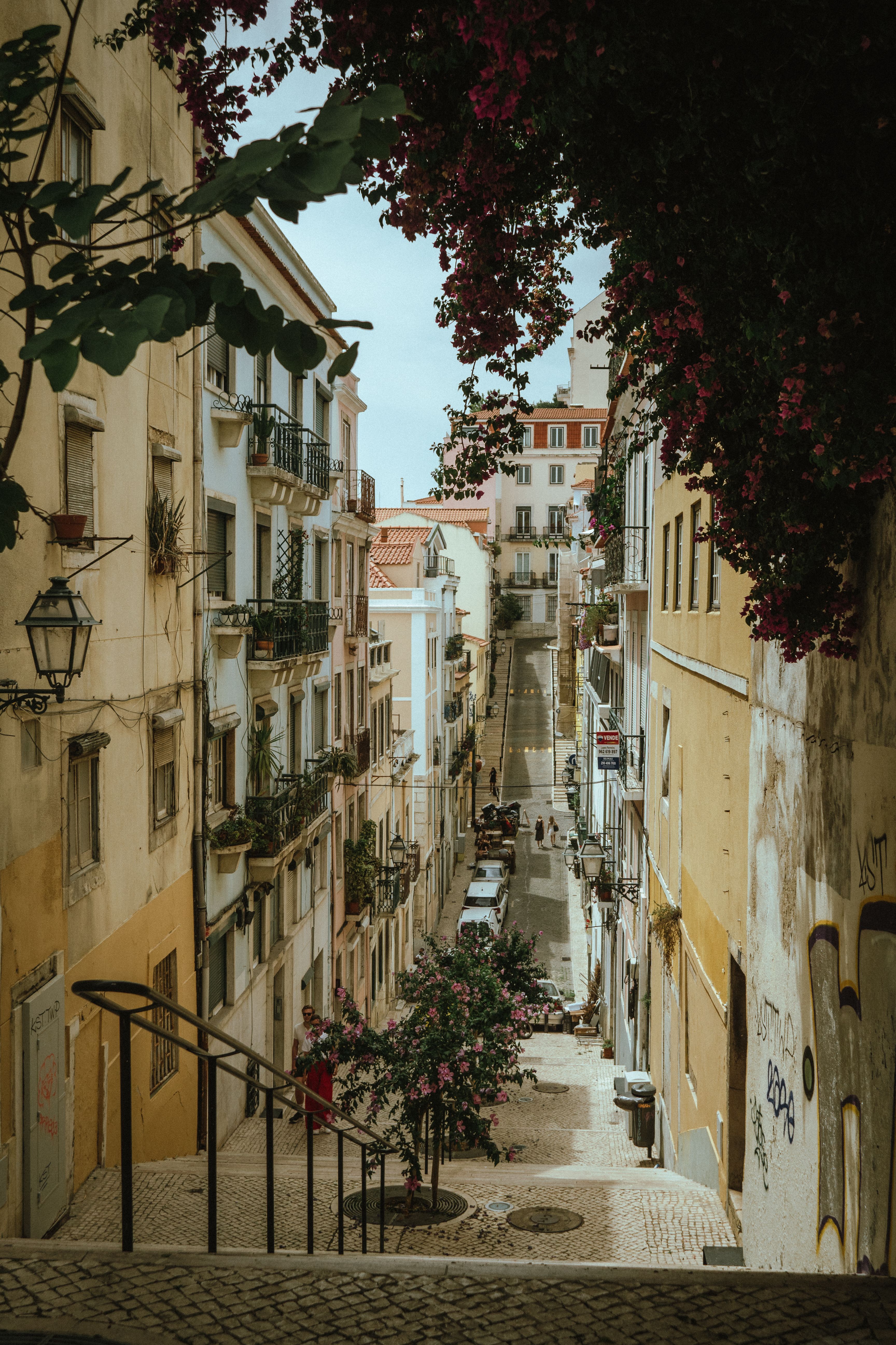 Photo Of An Alley · Free Stock Photo