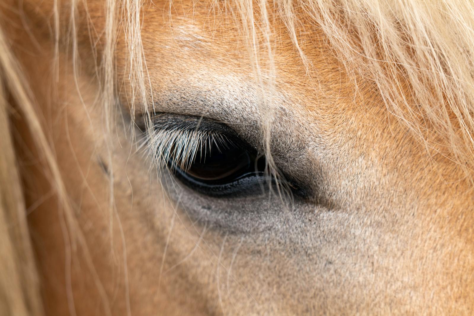 Eye Relaxing Wallpaper Photos, Download The BEST Free Eye Relaxing ...