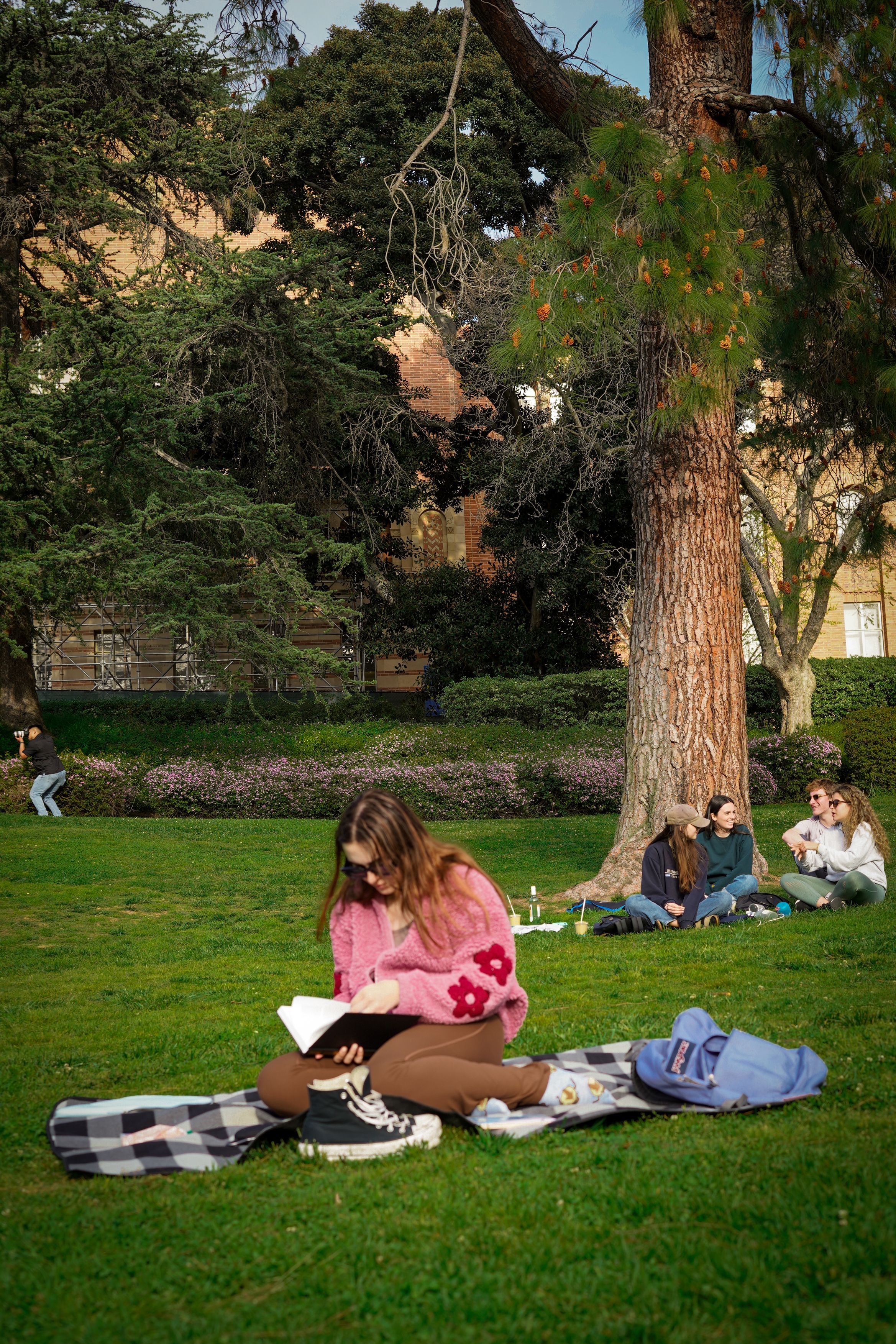 Campus. Photos, Download The BEST Free Campus. Stock Photos & HD Images