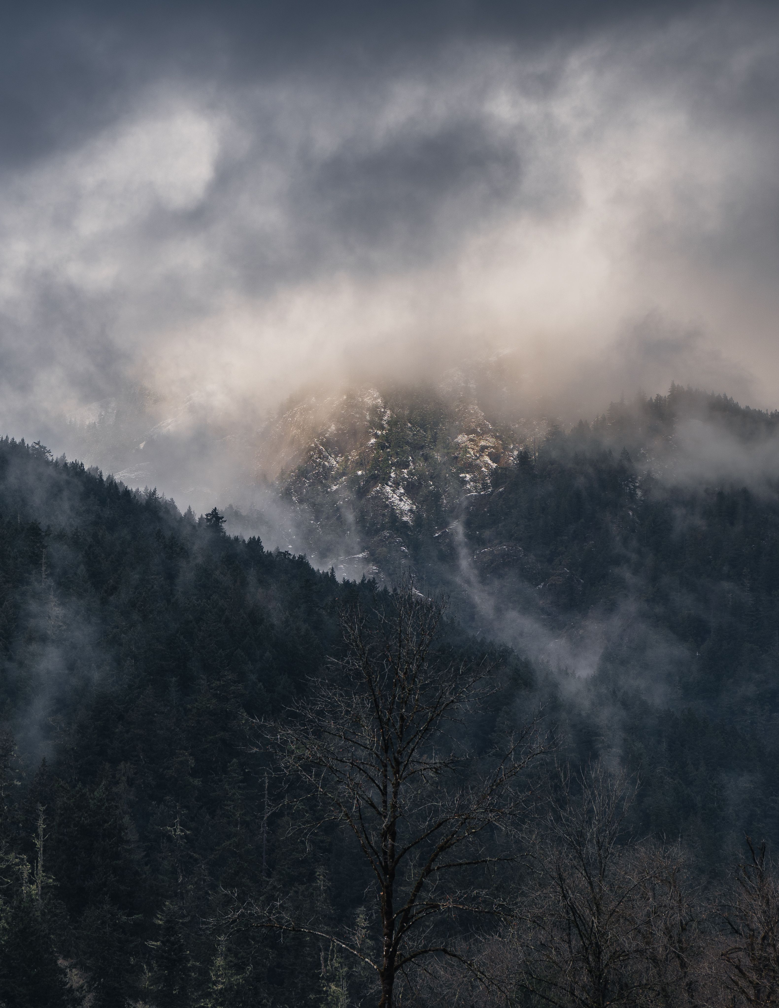 Moody Pnw Paisaje · Foto de stock gratuita
