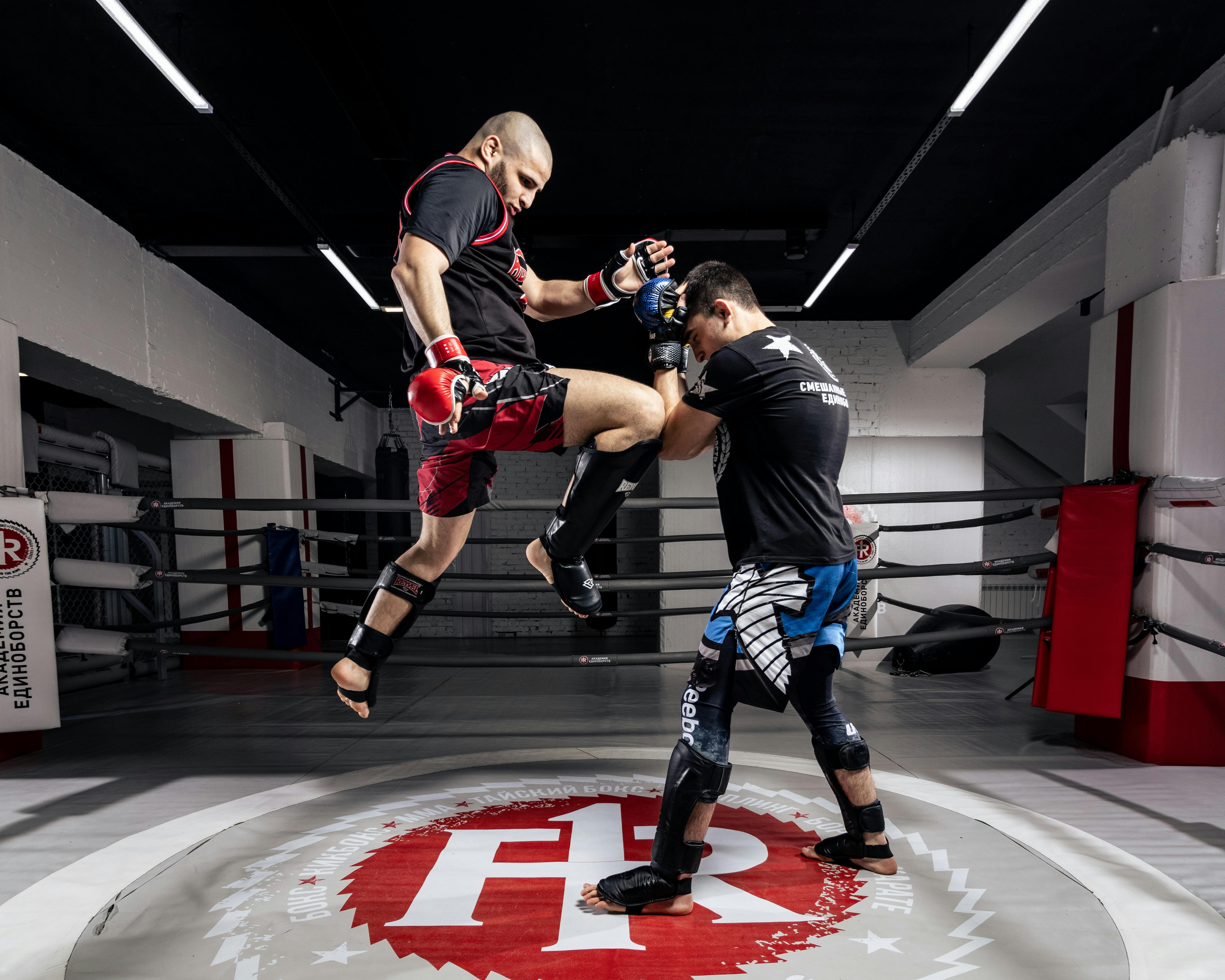 Bull Fighting Ring Photos, Download The BEST Free Bull Fighting Ring ...