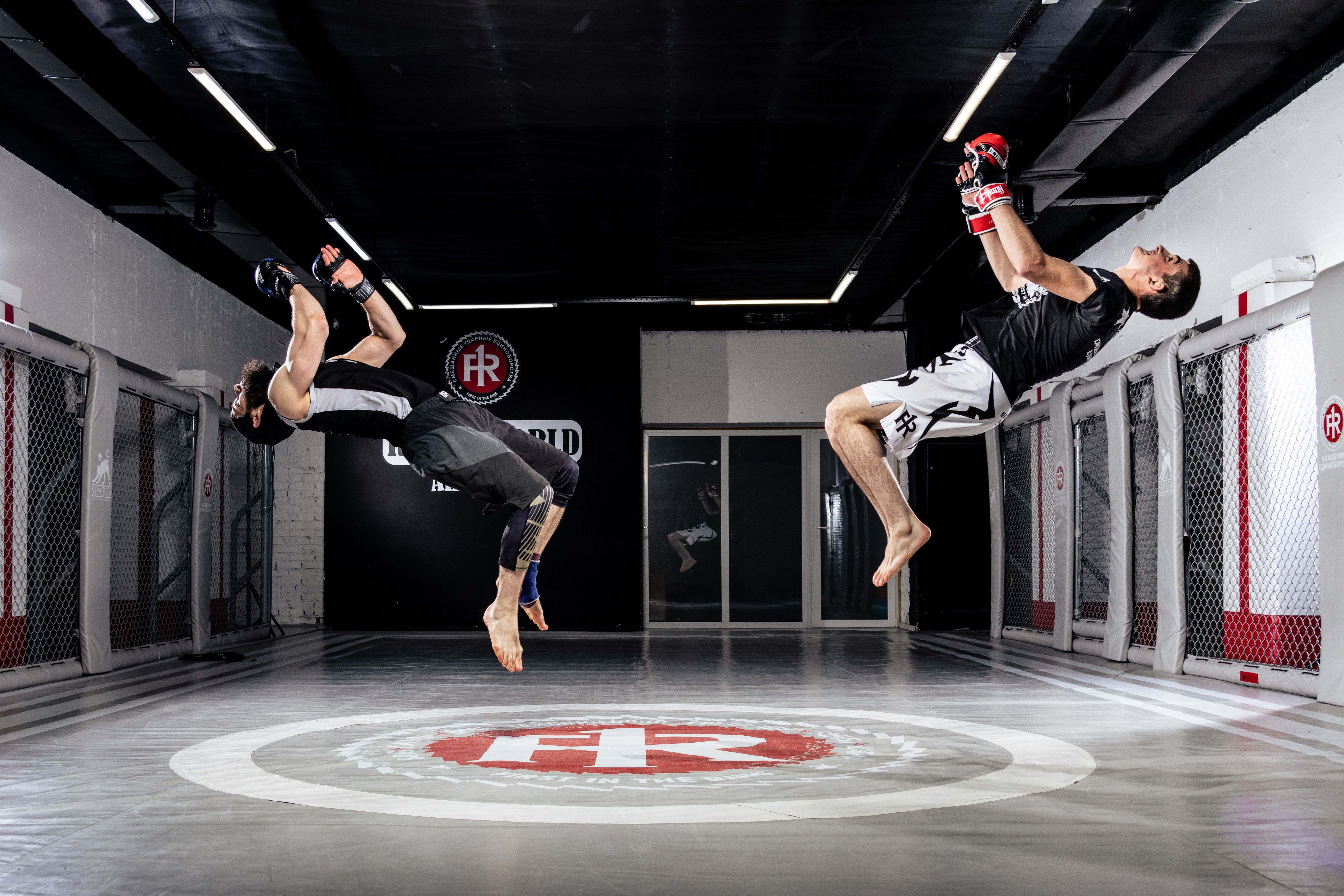 Boxer Posing Photos, Download The BEST Free Boxer Posing Stock Photos ...