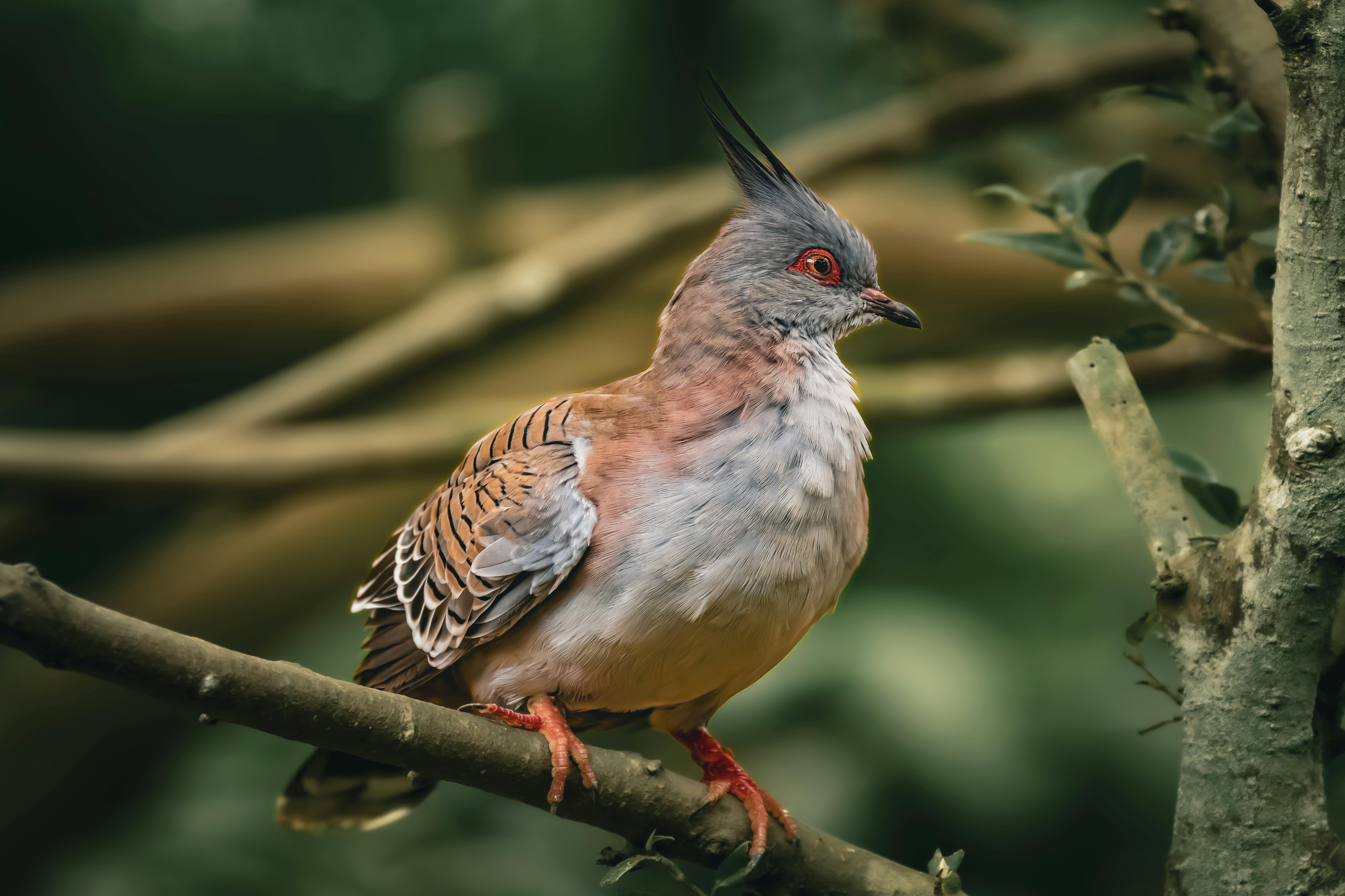 Animated Wallpaper Gaming Minecraft Photos, Download The BEST Free ...