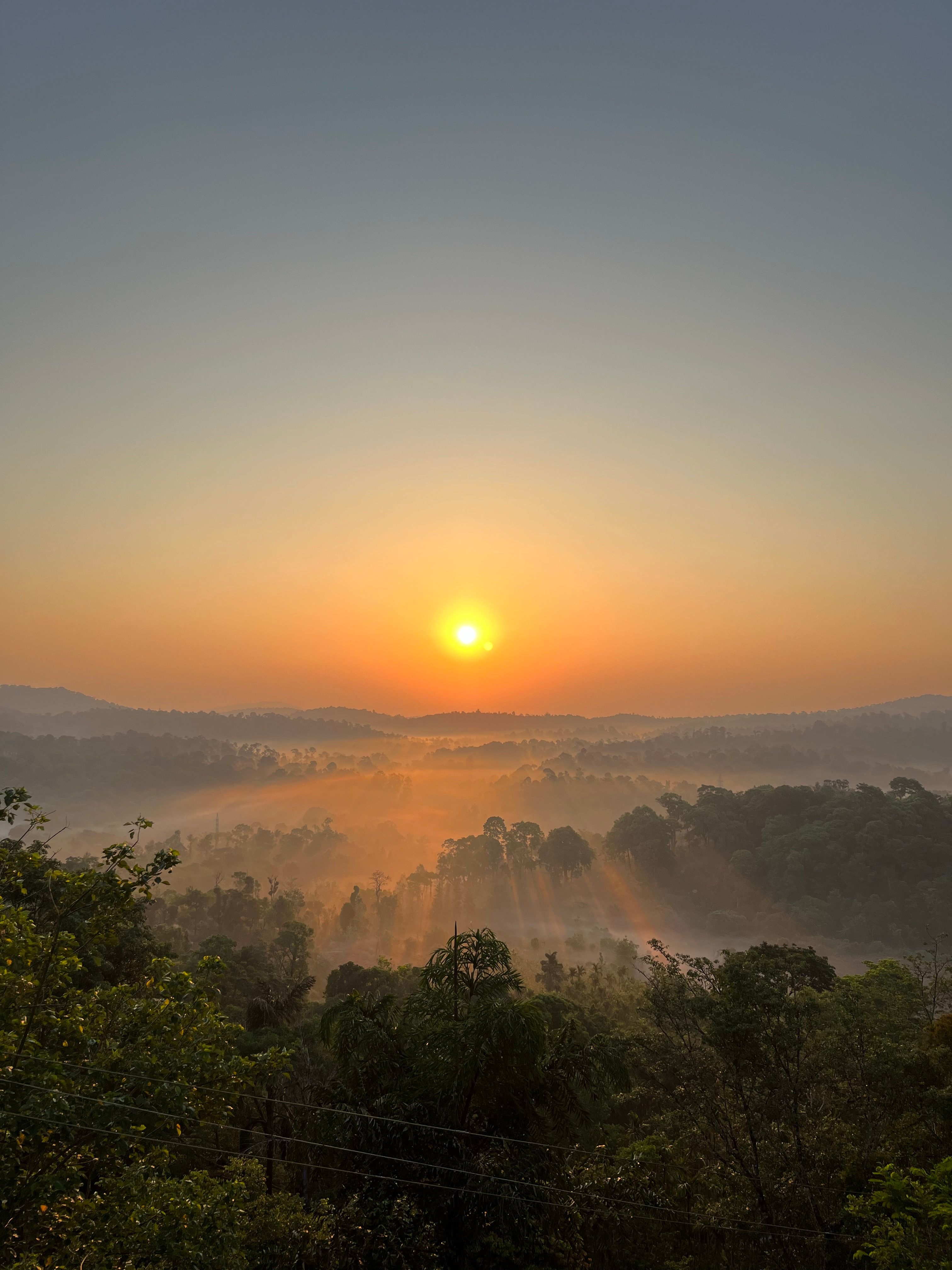 Dawn Singkong Photos, Download The BEST Free Dawn Singkong Stock Photos ...