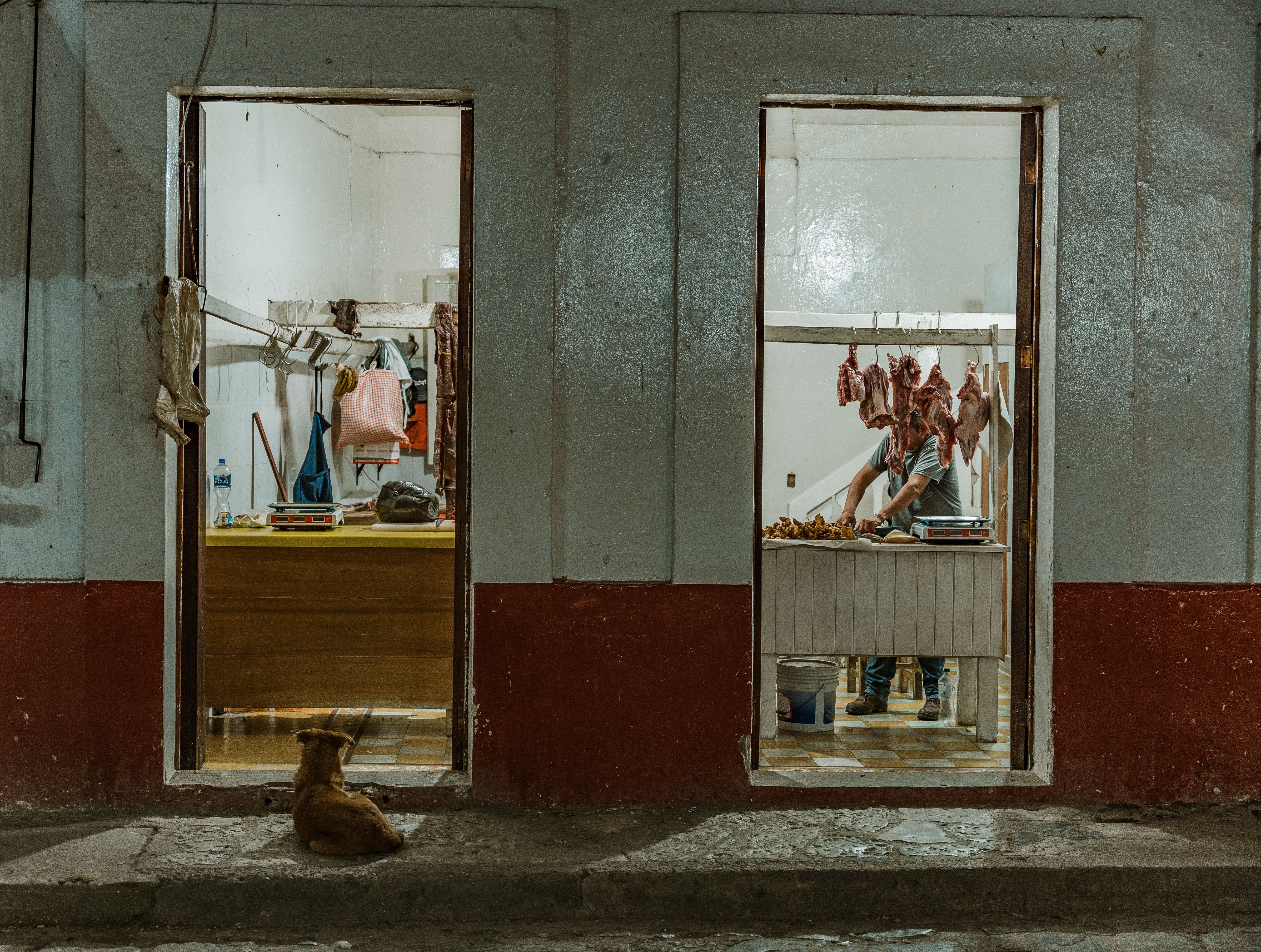 Retail Butcher Photos, Download The BEST Free Retail Butcher Stock ...