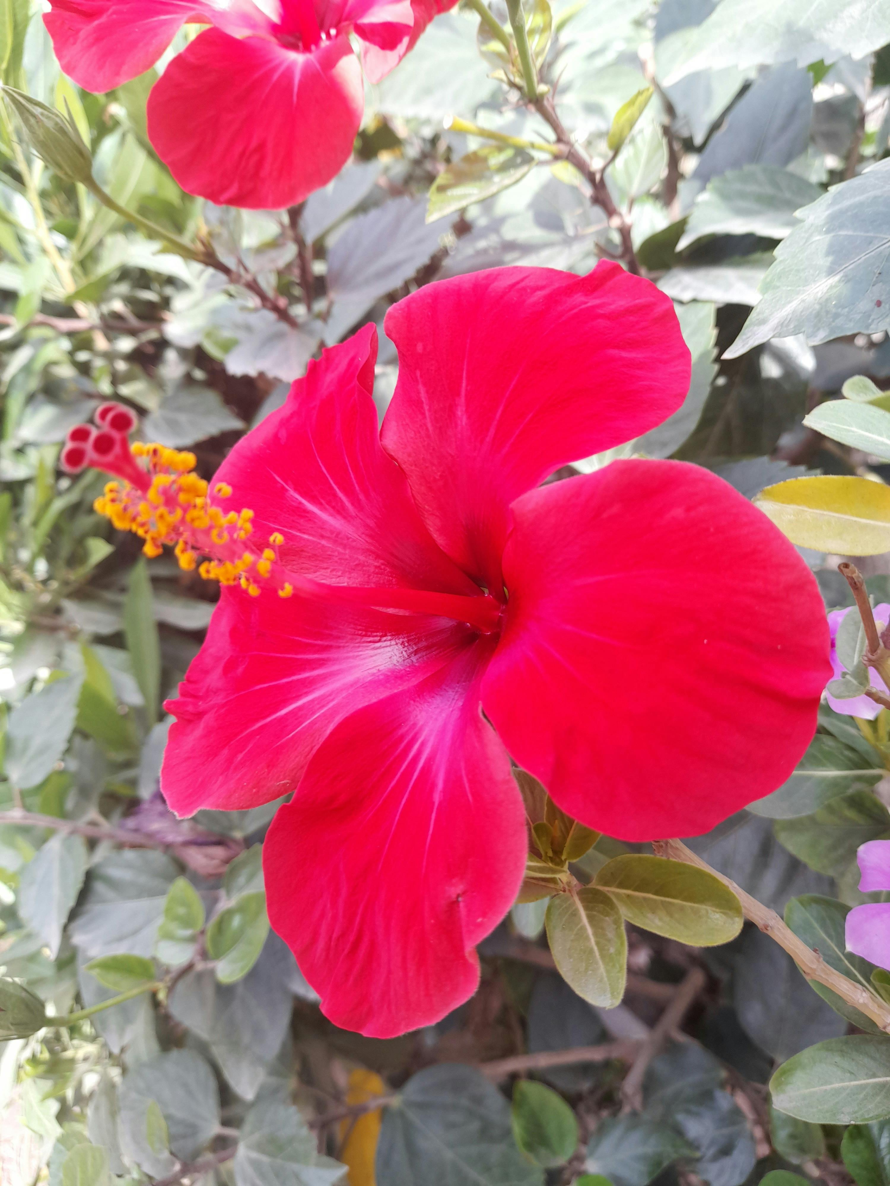 Asma Gamal - Photography