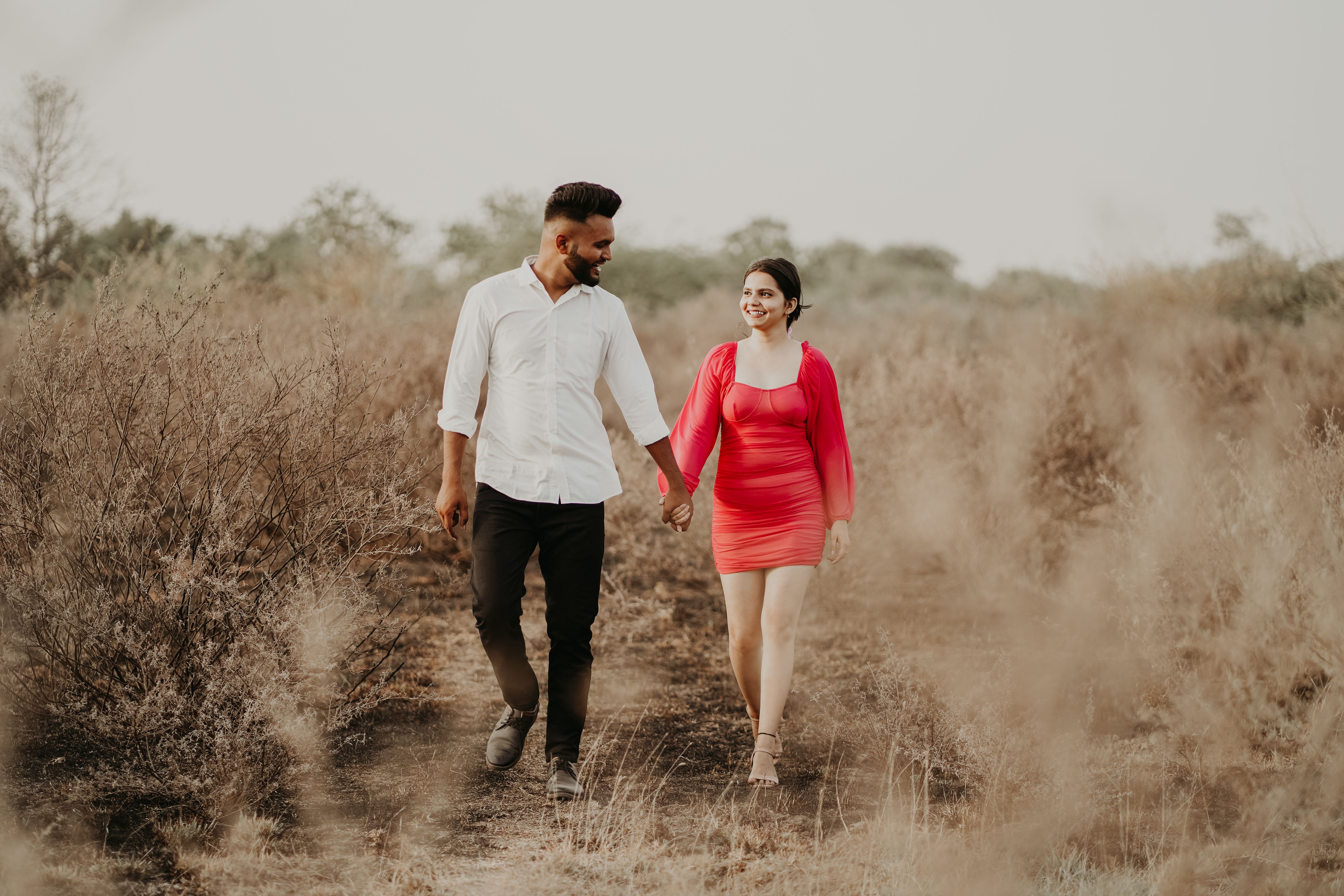 Happy Couple in Elegant Clothes Walking on a Field Holding Hands · Free ...