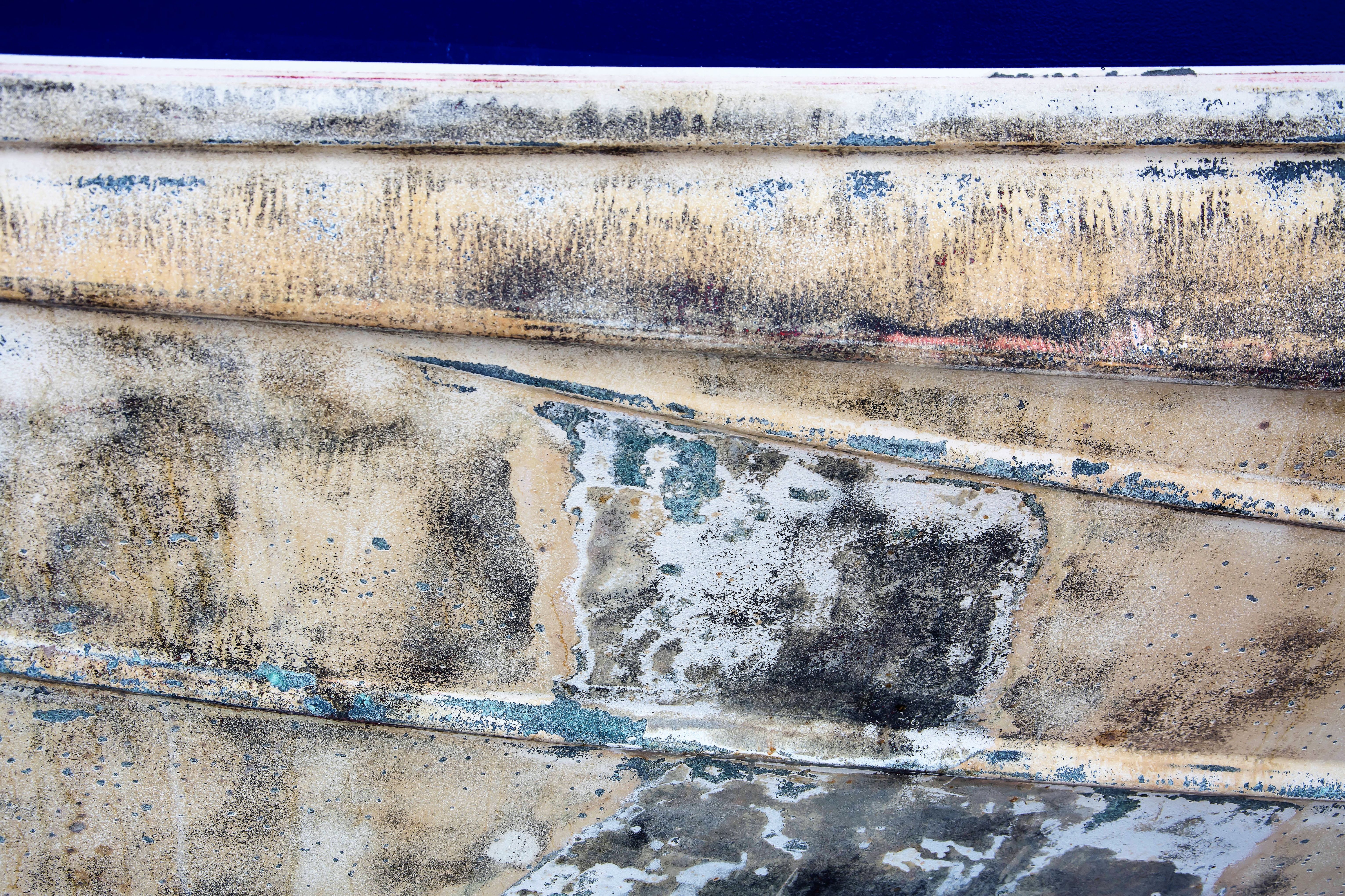 Boat Texture Photos, Download The BEST Free Boat Texture Stock Photos ...