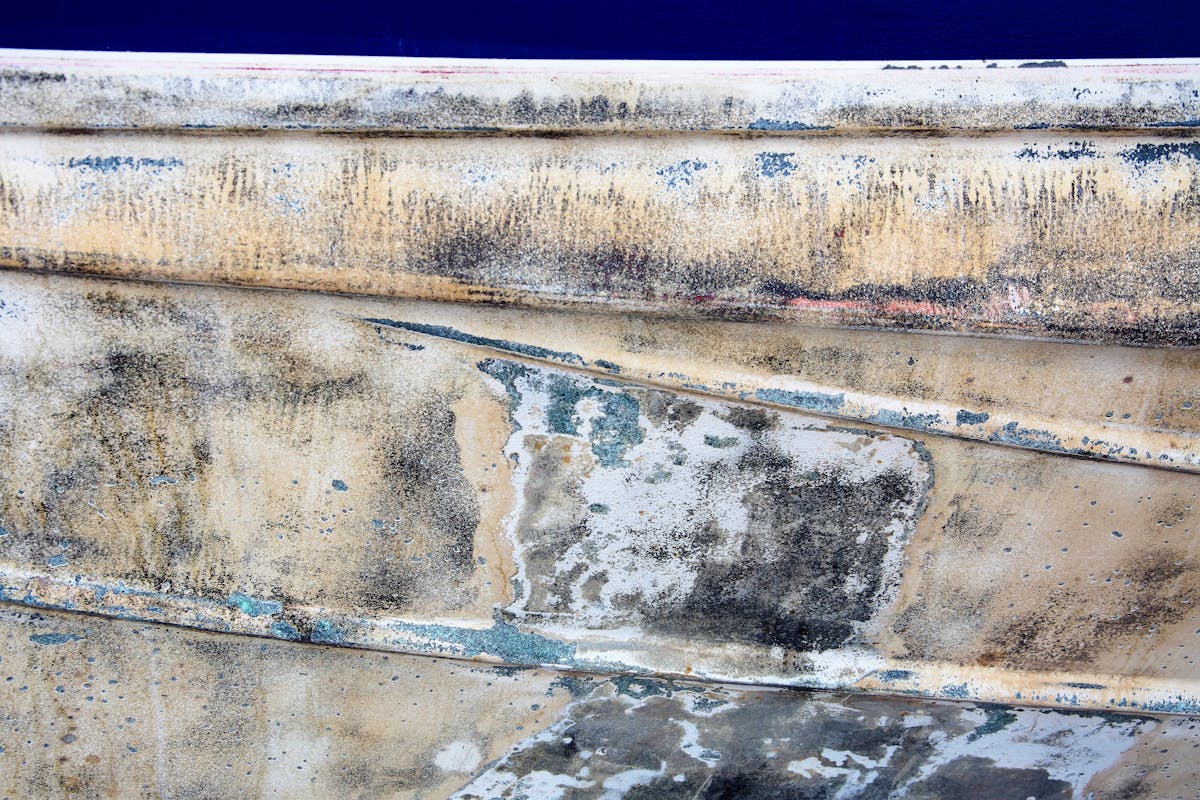 Boat Texture Photos, Download The BEST Free Boat Texture Stock Photos ...