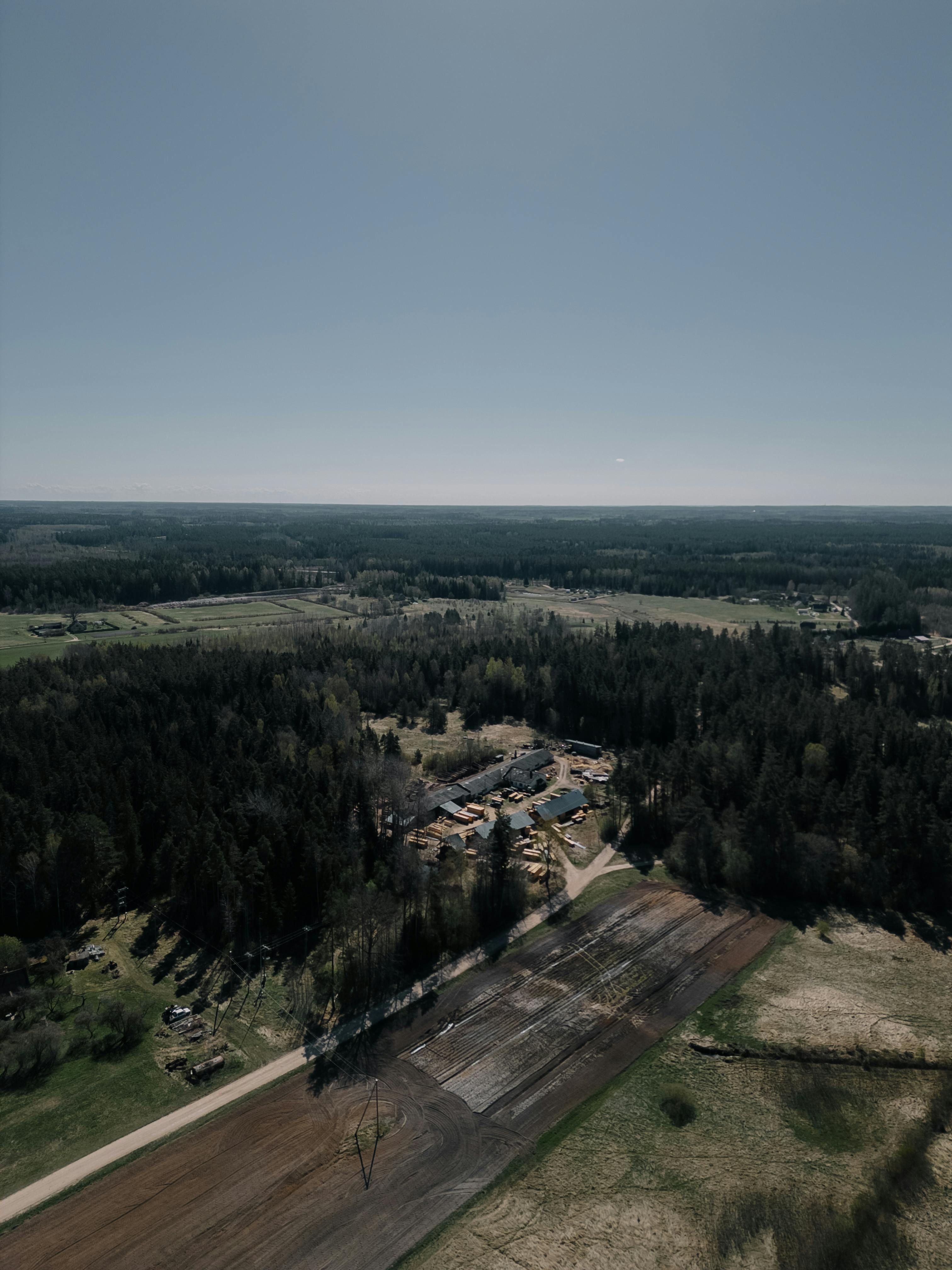 Sunlit Plains with Trees · Free Stock Photo