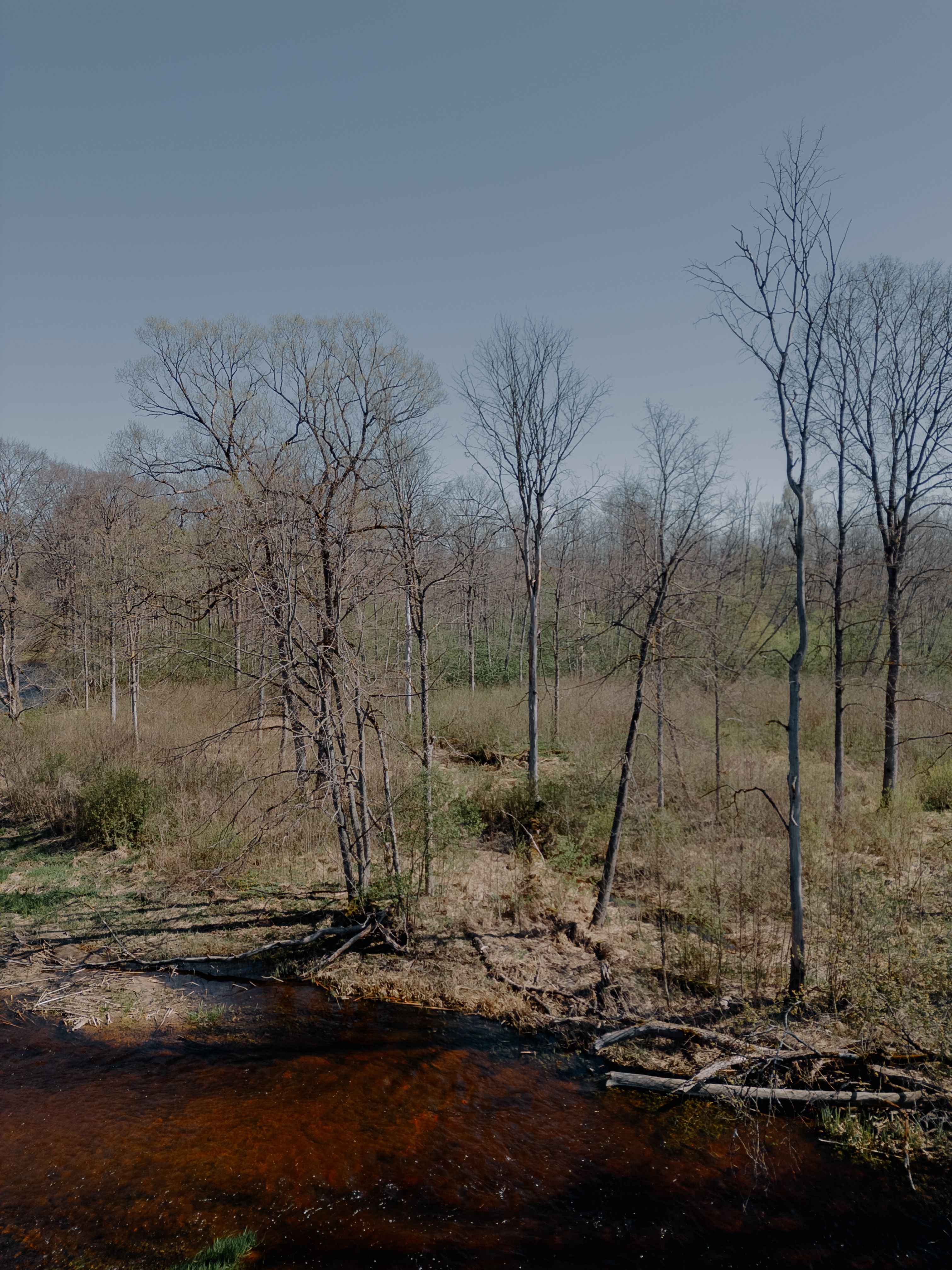 Podzol Soil Photos, Download The BEST Free Podzol Soil Stock Photos ...