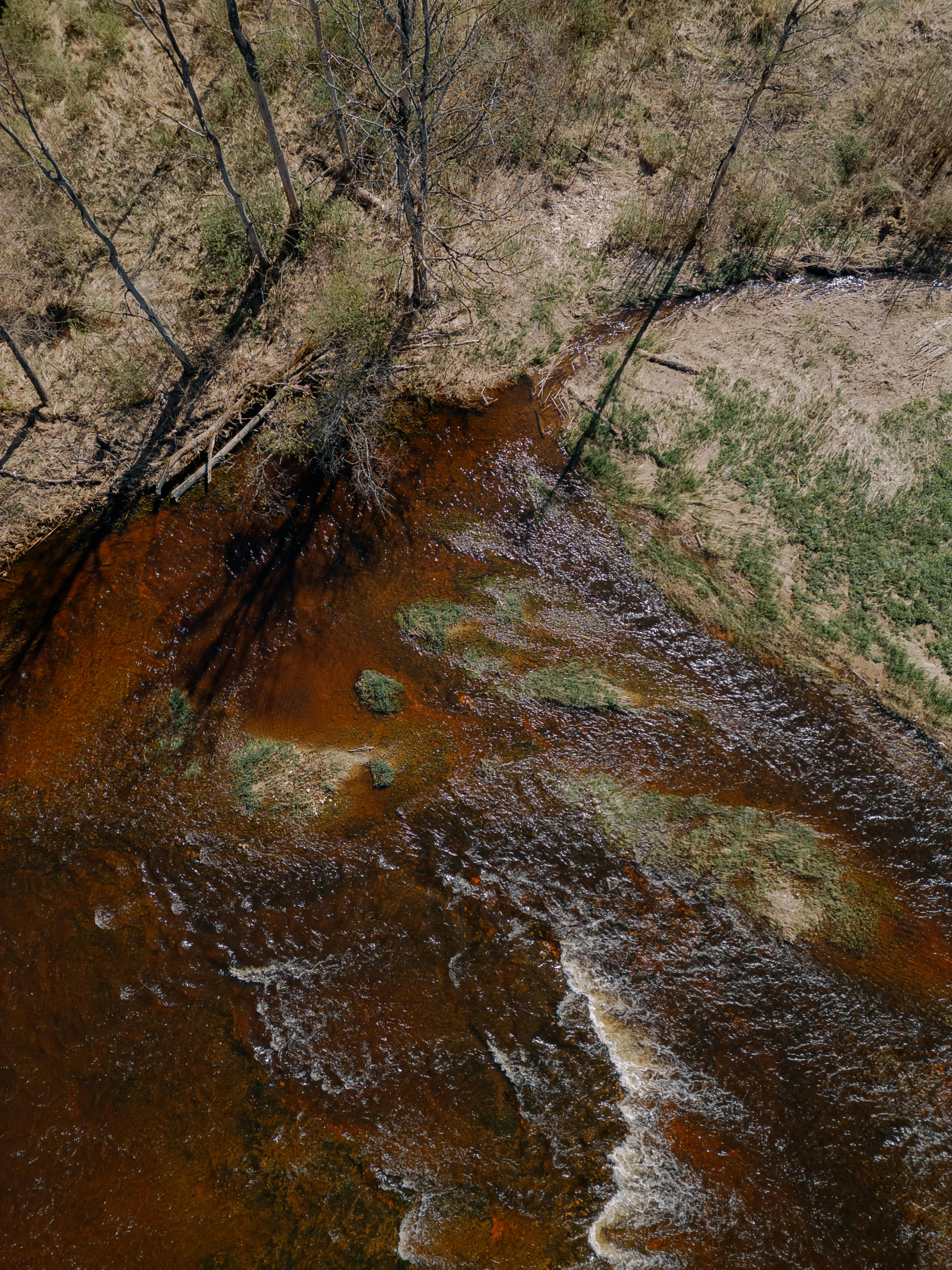 Polluted River in Summer Scenery · Free Stock Photo