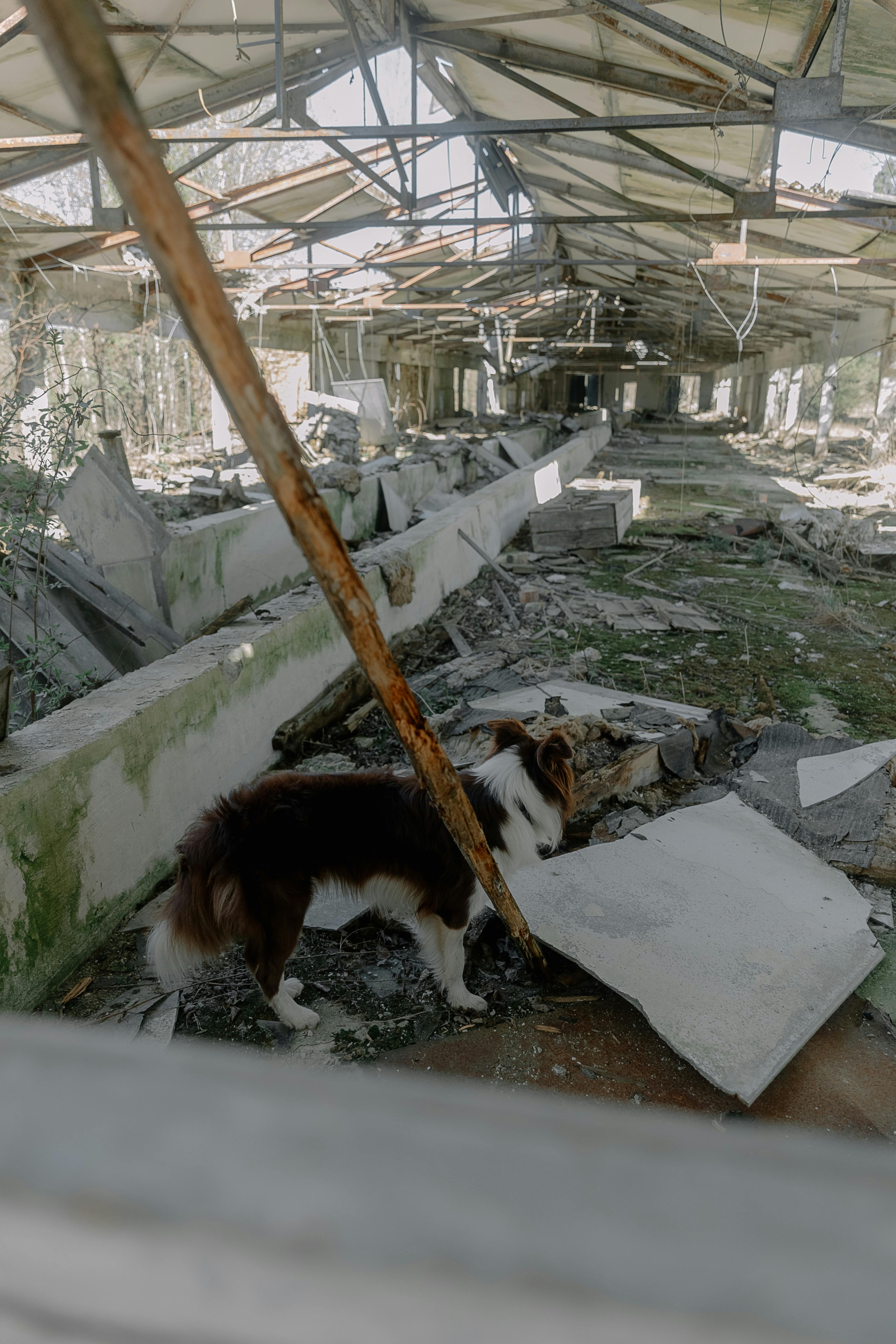 Abandoned Concrete Building Under White Sky · Free Stock Photo