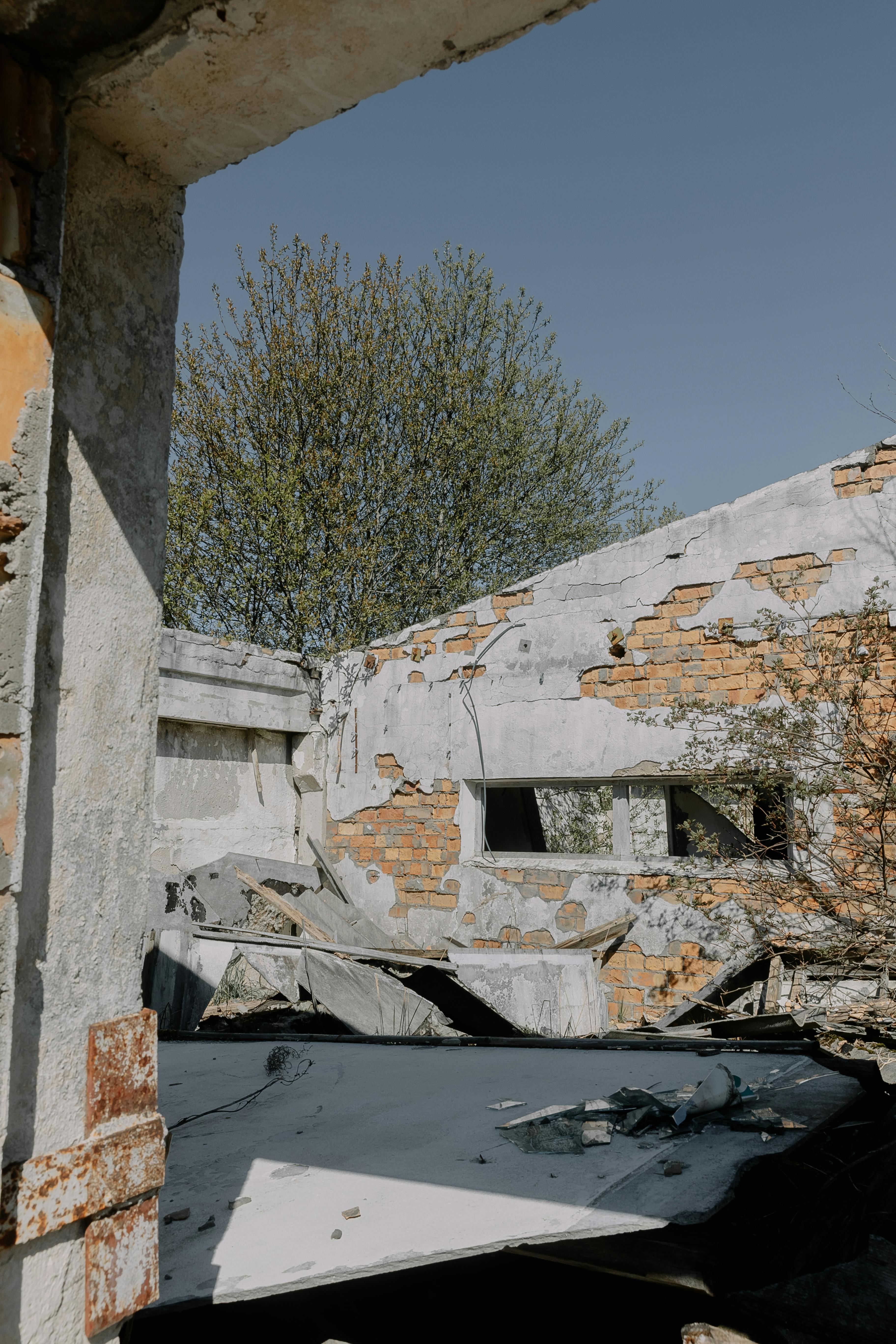 Tree behind Destroyed Buildings · Free Stock Photo