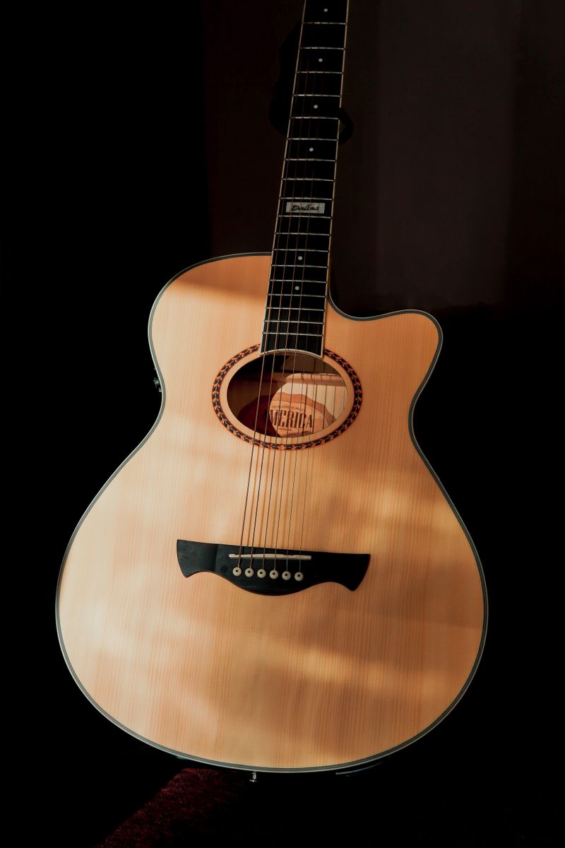 Guitar Pics Photos, Download The BEST Free Guitar Pics Stock Photos ...