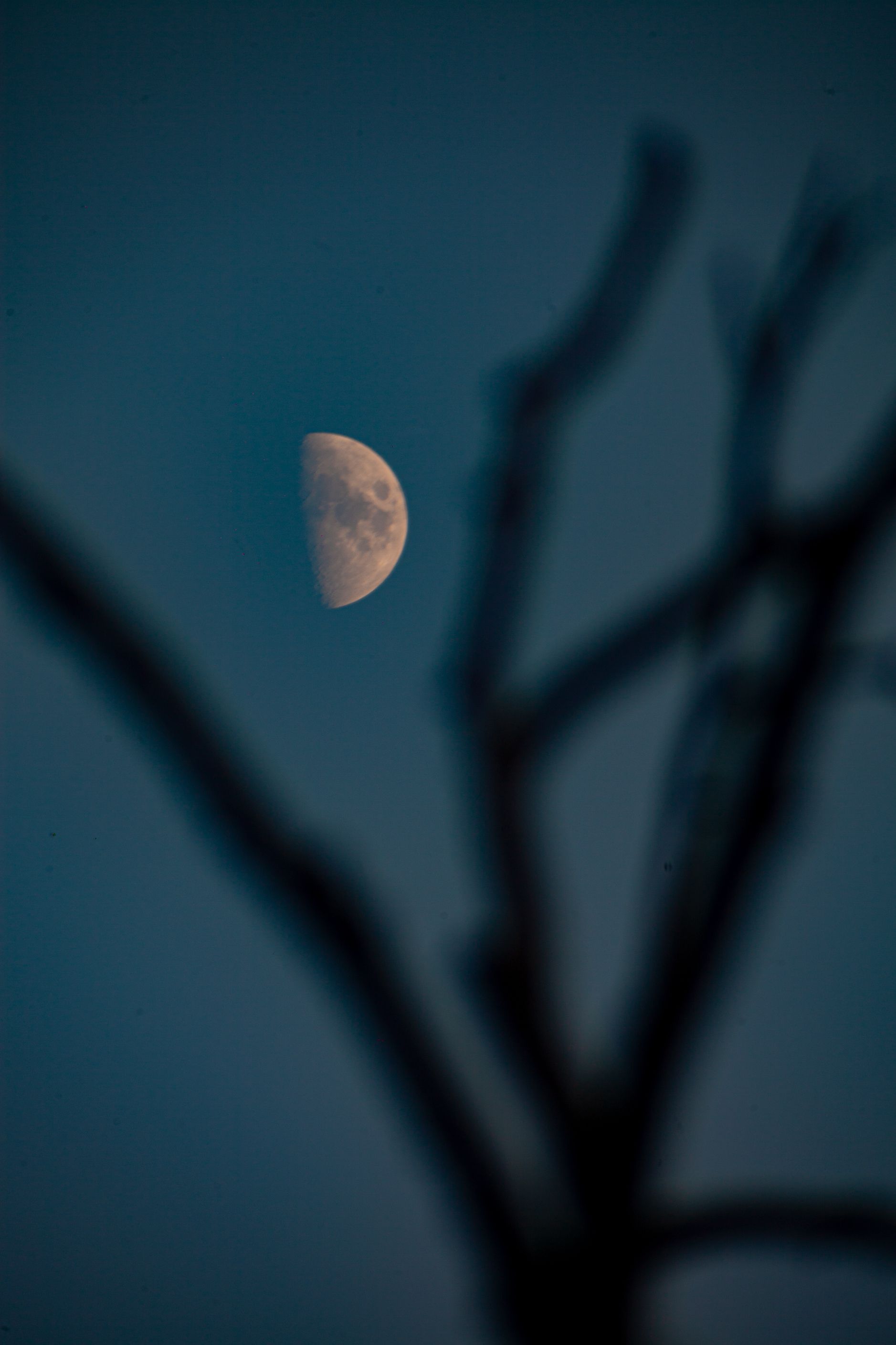 Moon Horizontal Photos, Download The BEST Free Moon Horizontal Stock ...
