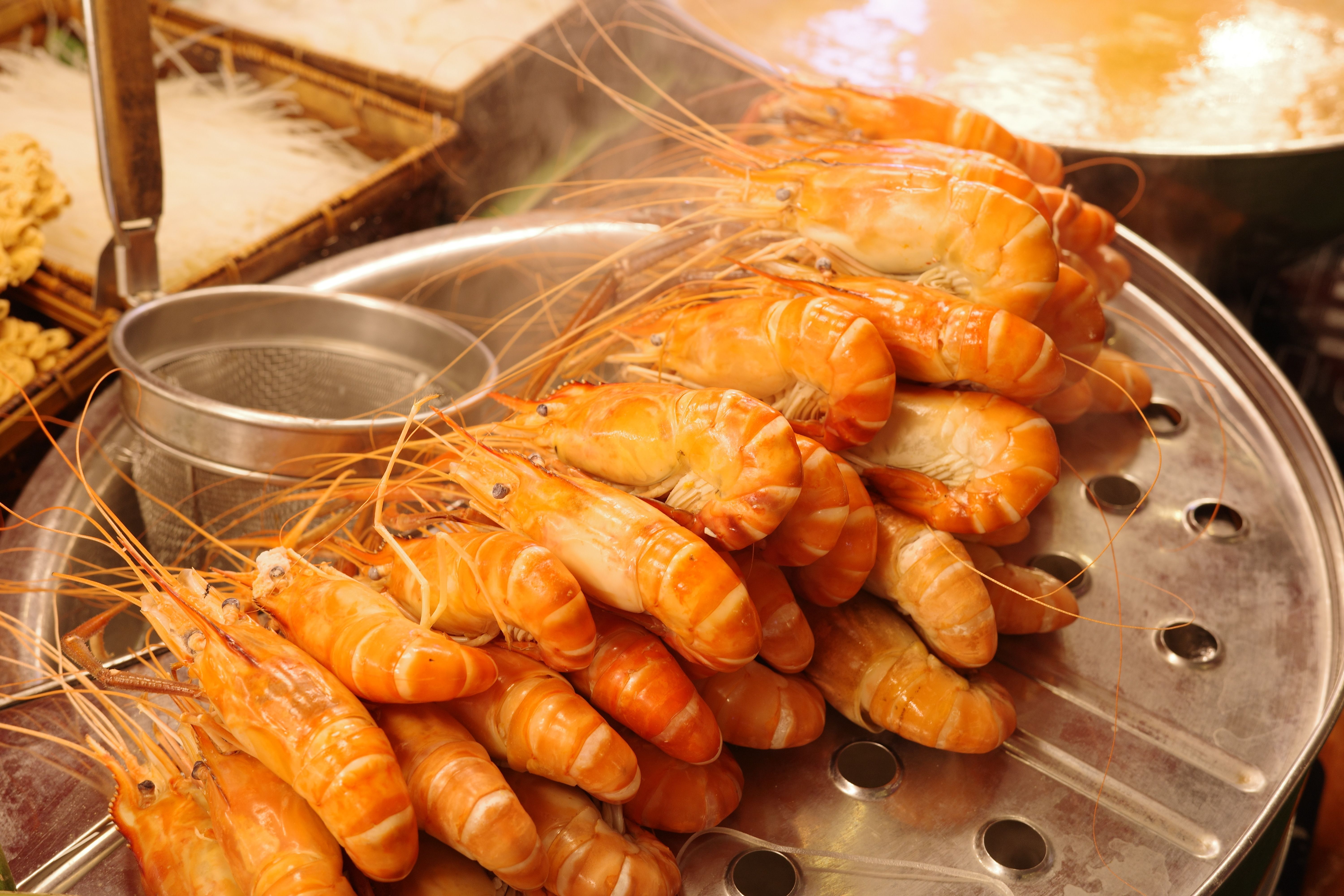 Probiotics And The Digestive System Shrimp Photos, Download The BEST ...