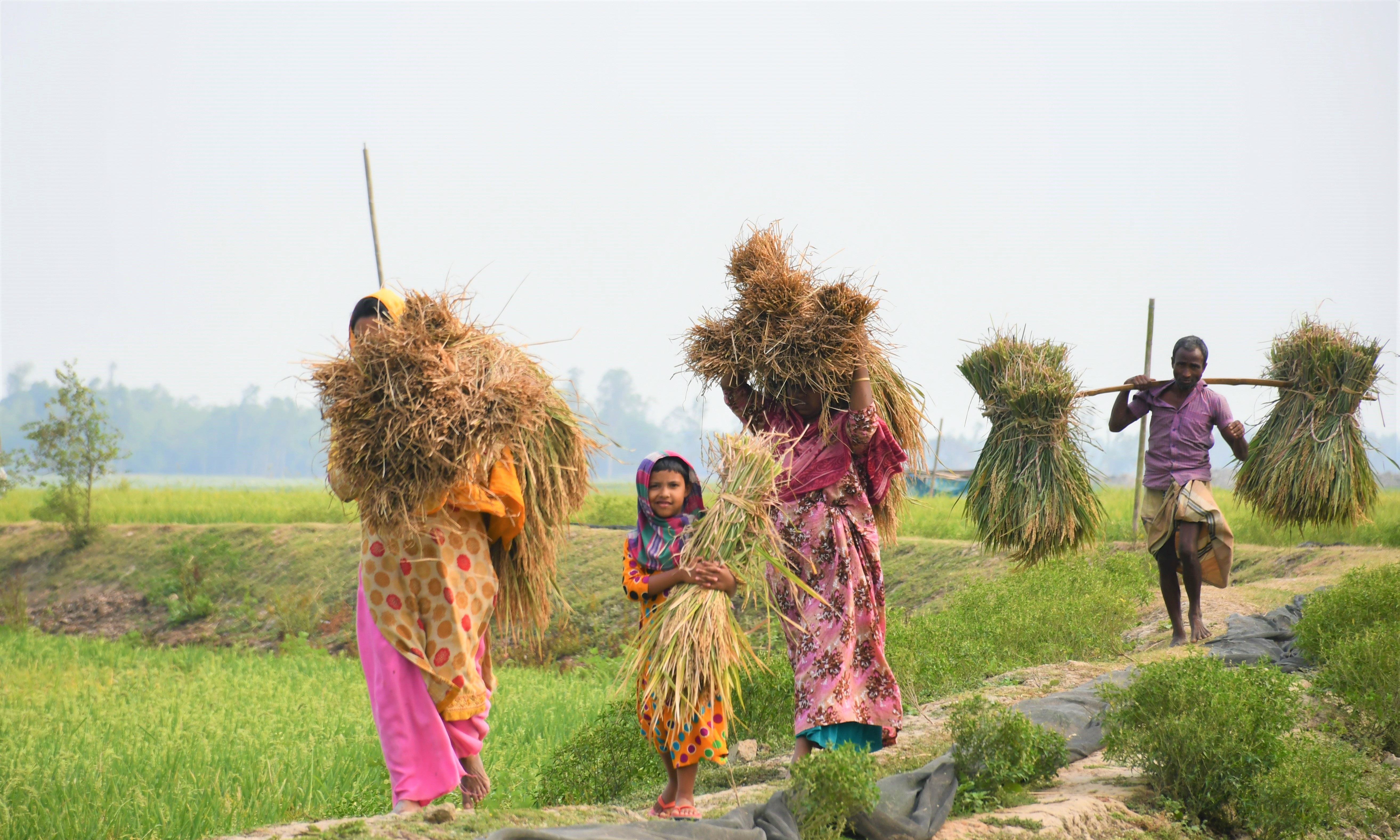 Walking Women Carrying Food in Bowls on their Heads · Free Stock Photo