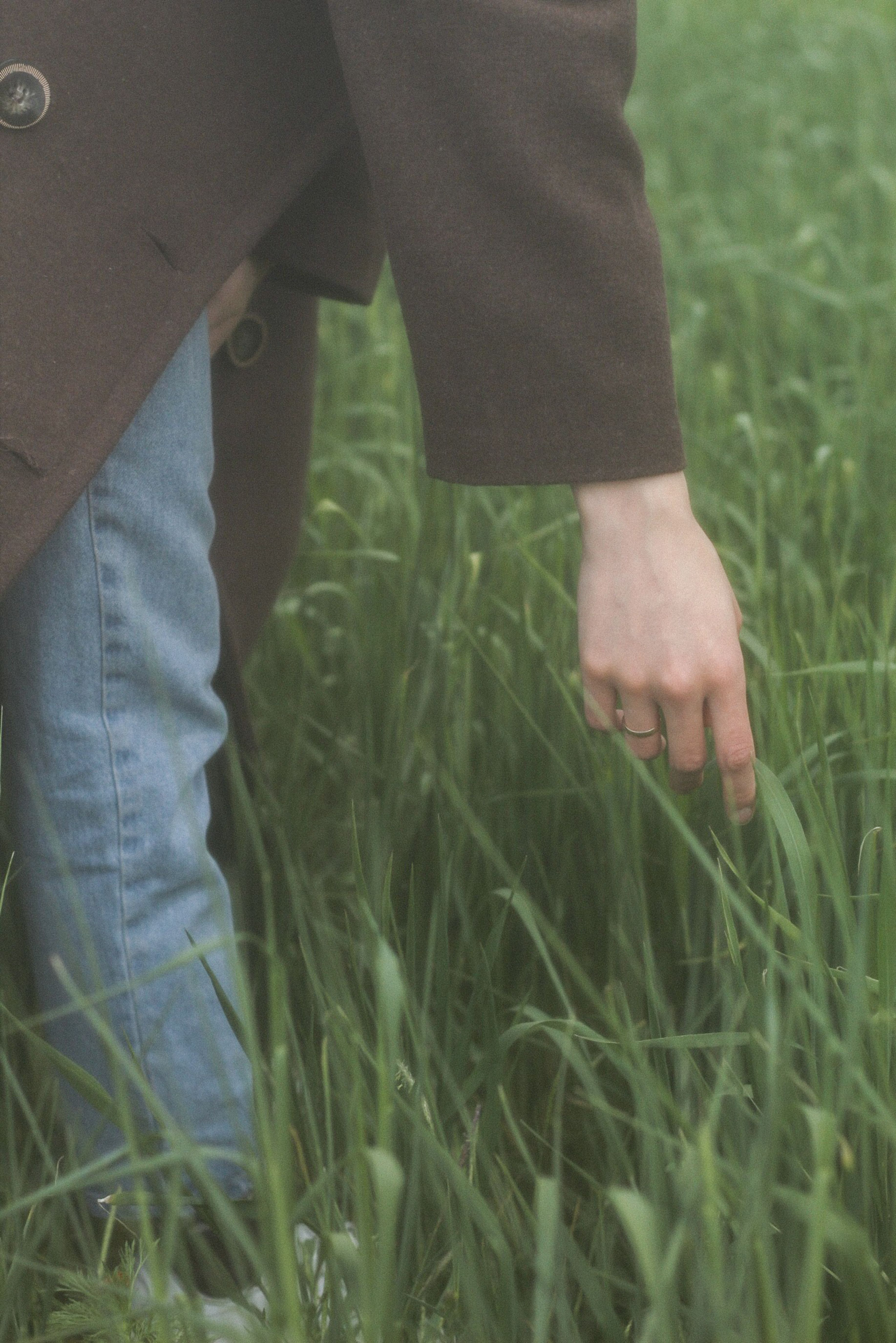 Hand Touching Grass · Free Stock Photo
