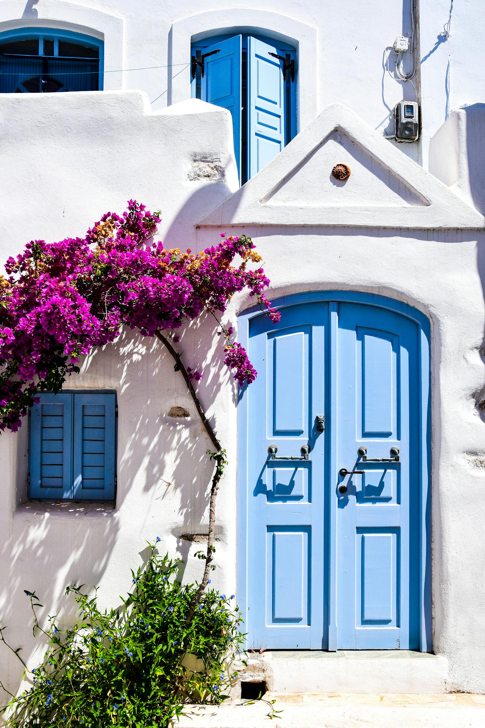 Growing Tree Photos, Download The BEST Free Growing Tree Stock Photos ...