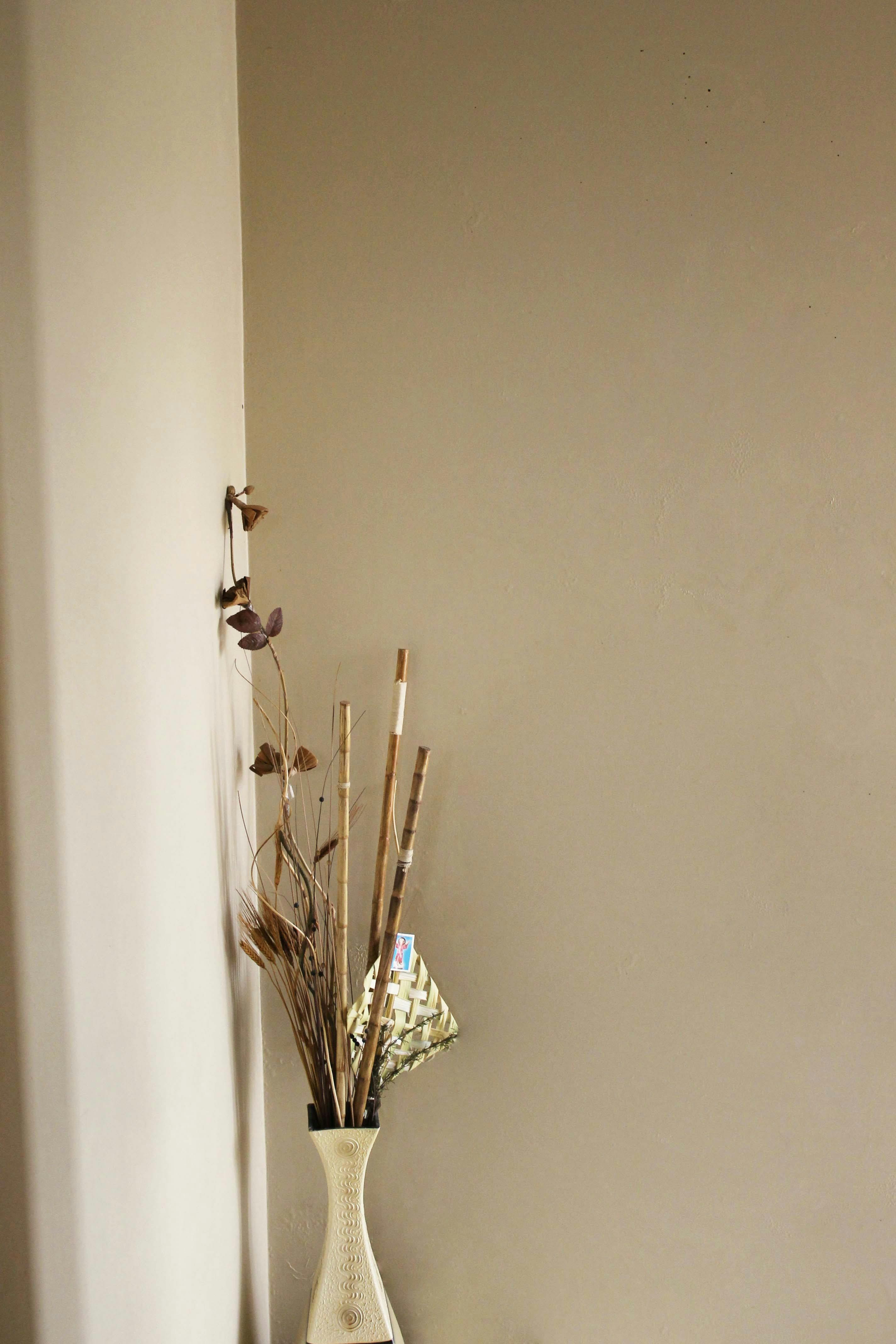 Spikes and Painting in Home Decor · Free Stock Photo