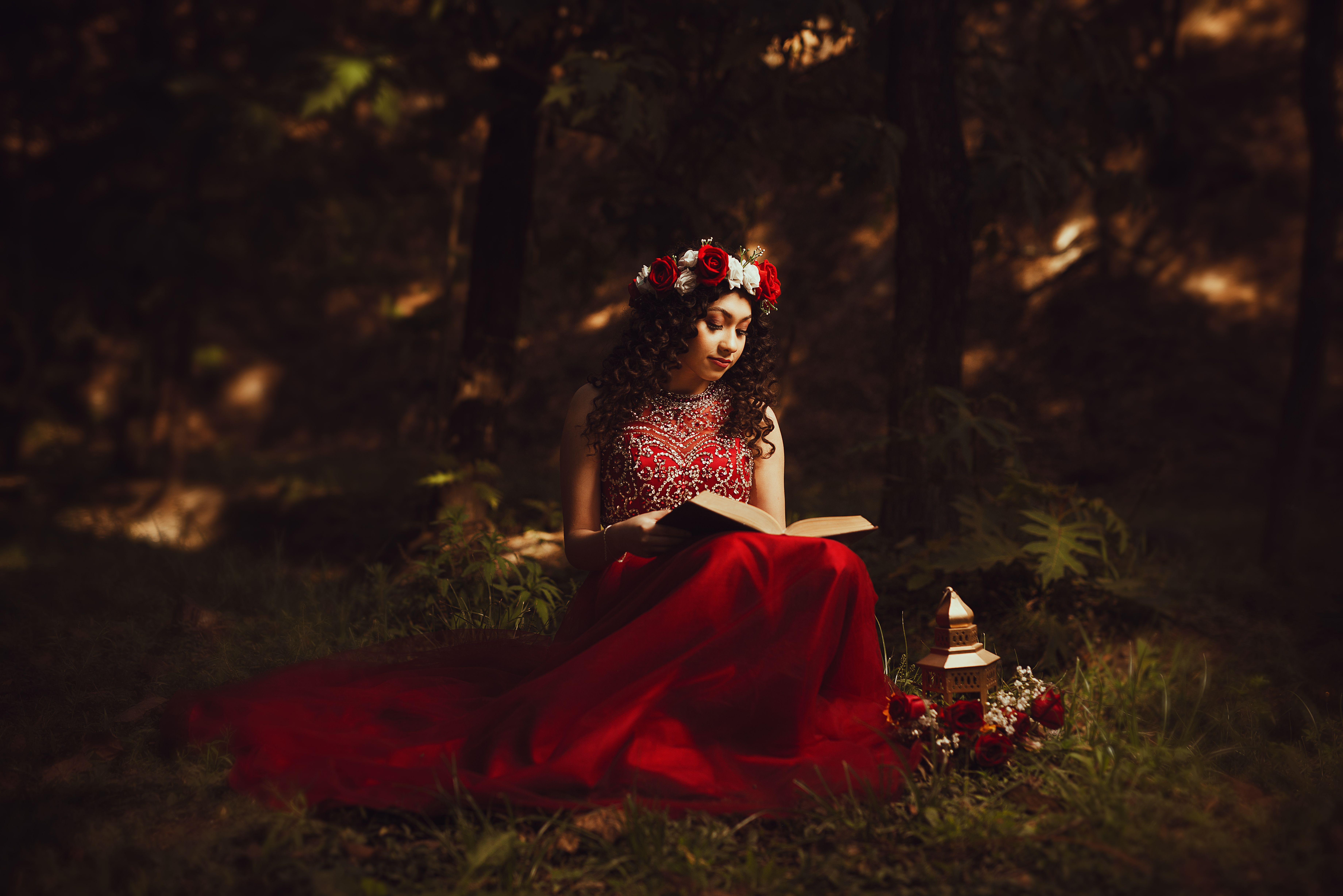 Man Sitting Under A Tree Reading A Book during Night Time · Free Stock ...