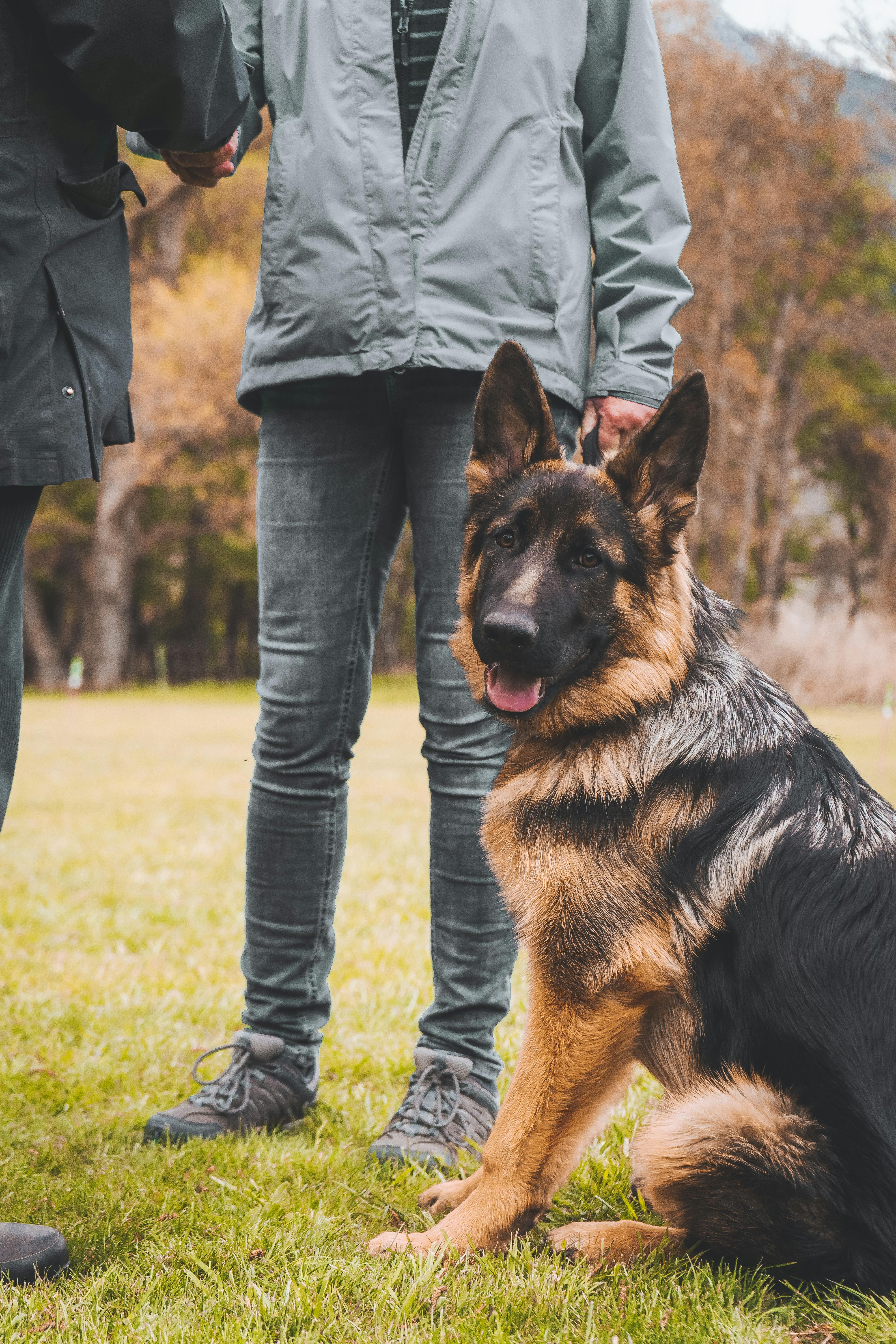 People in Jackets and German Shepherd · Free Stock Photo