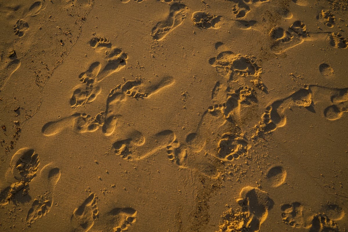 Footsteps Photos, Download The BEST Free Footsteps Stock Photos & HD Images