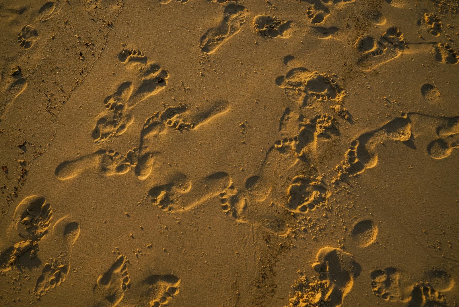 Footsteps Photos, Download The BEST Free Footsteps Stock Photos & HD Images