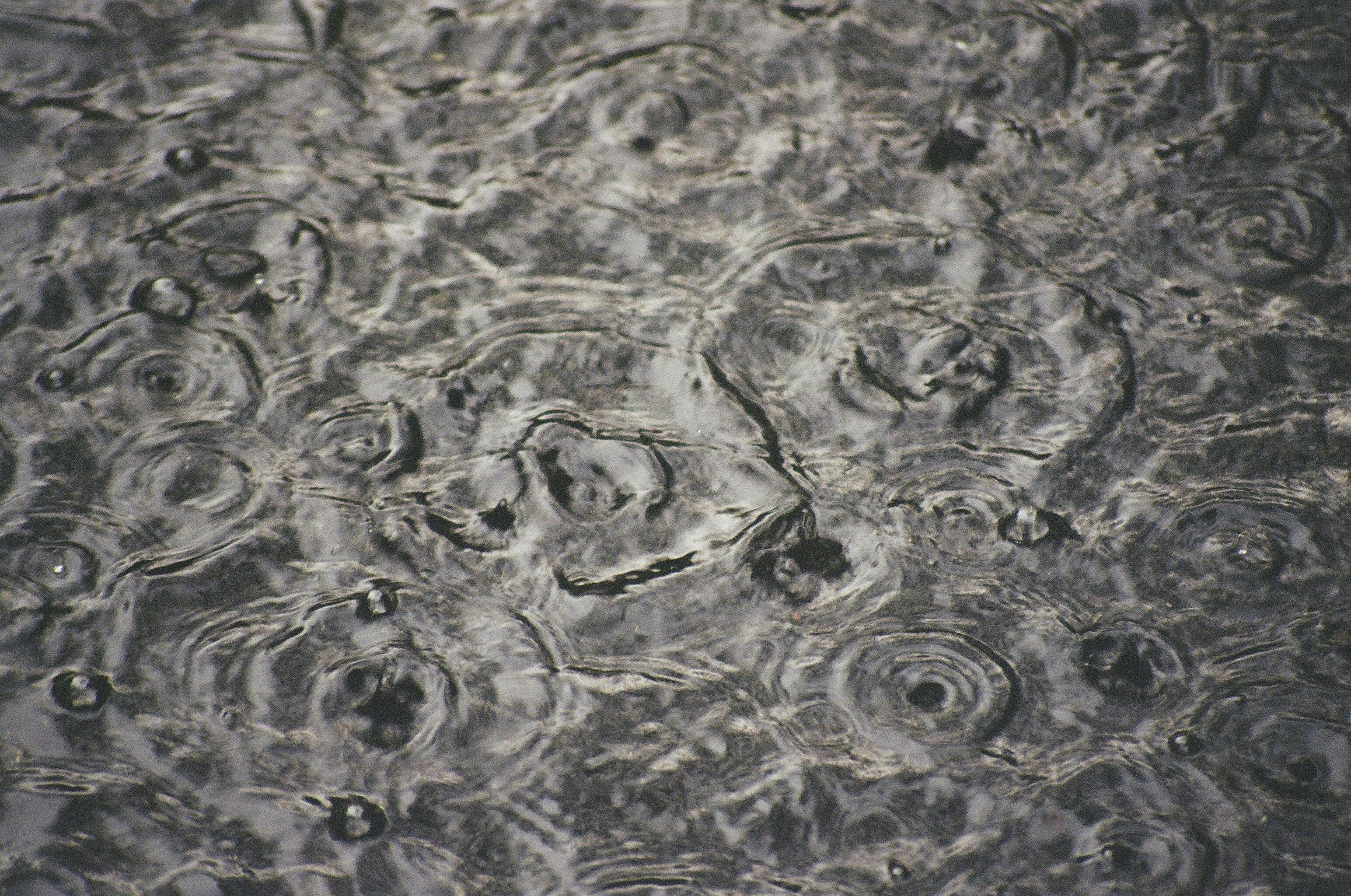 Water Ripple · Free Stock Photo