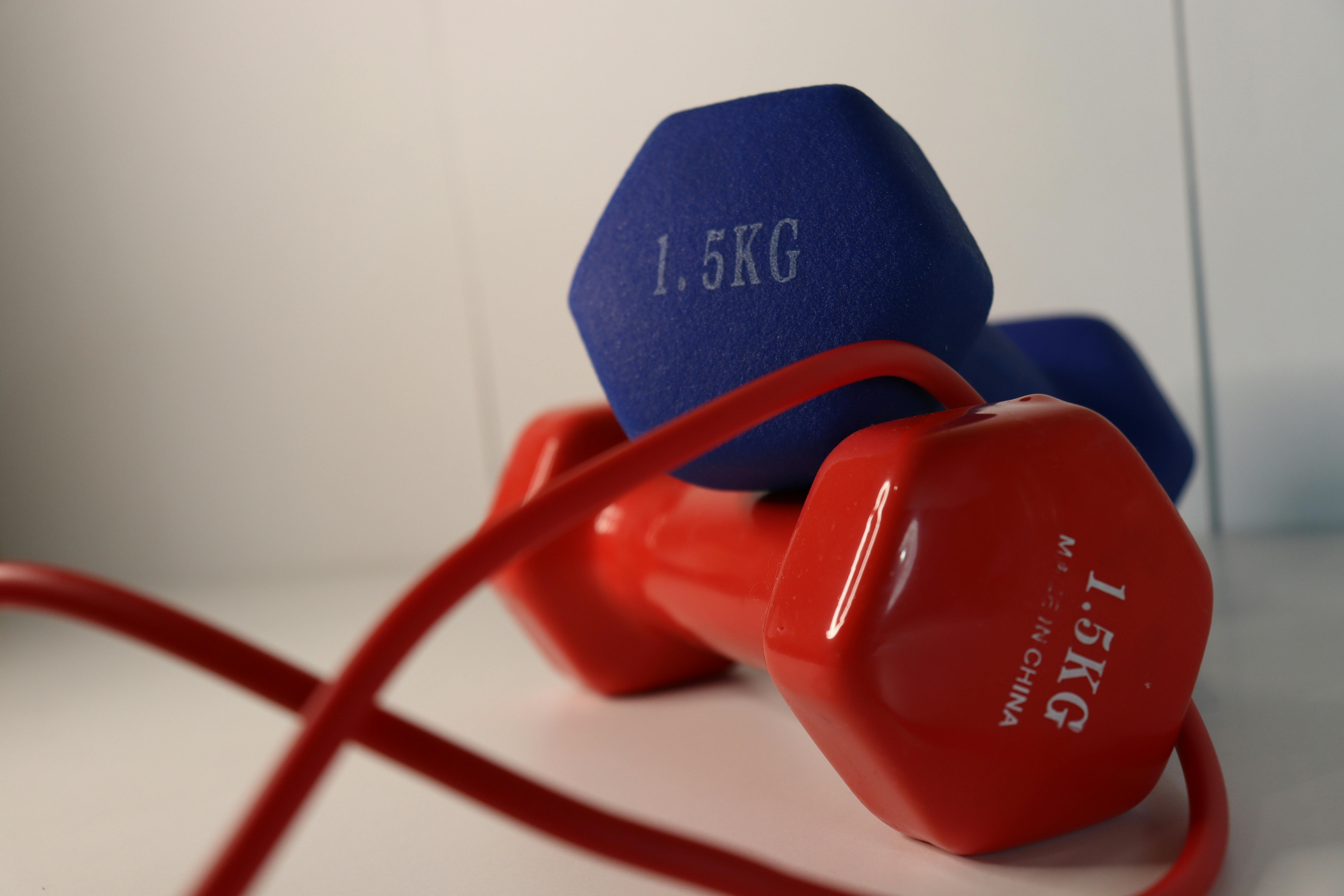 Close up of Colorful Dumbbells · Free Stock Photo