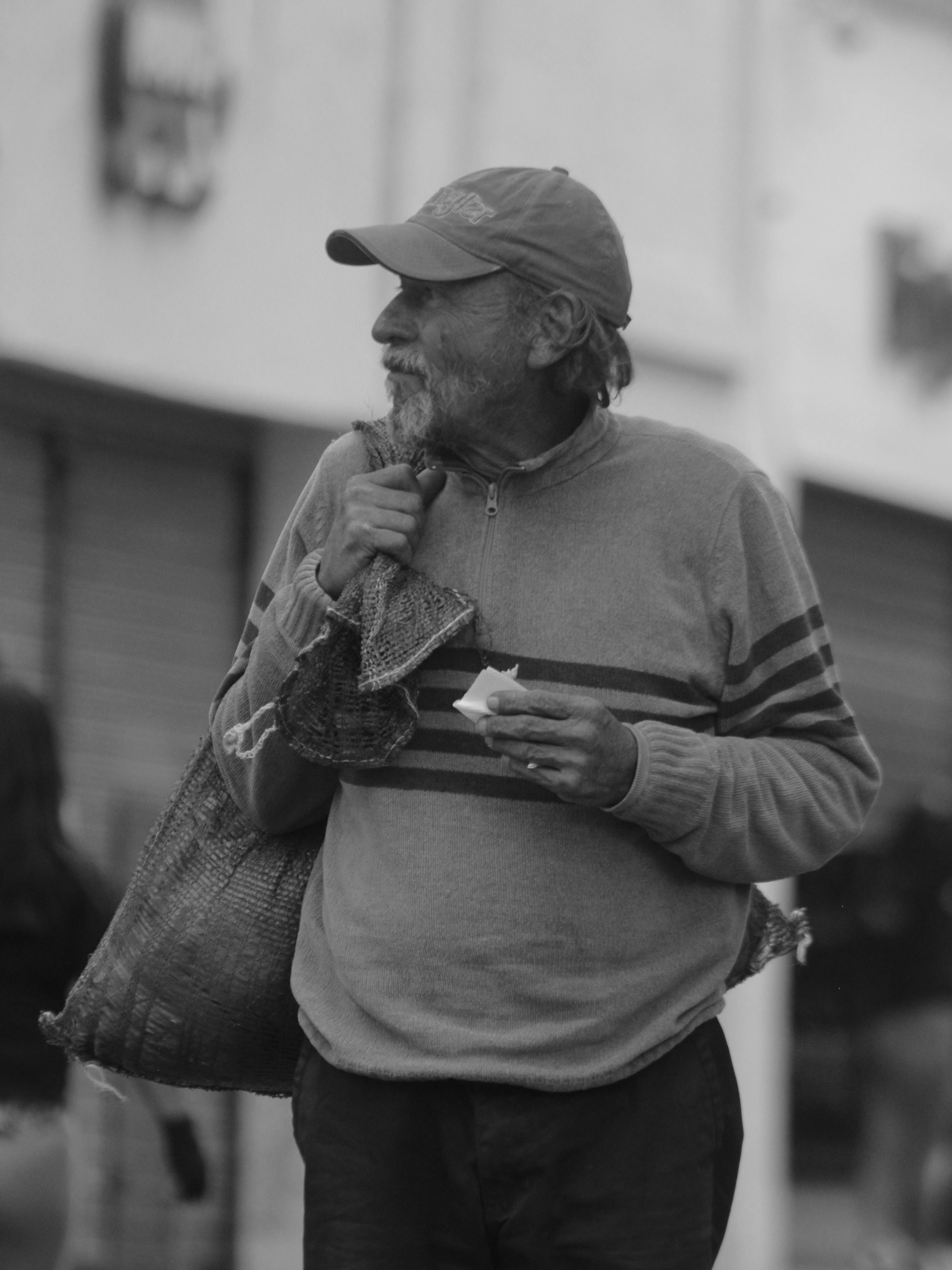 Dengue Carrying Photos, Download The BEST Free Dengue Carrying Stock ...